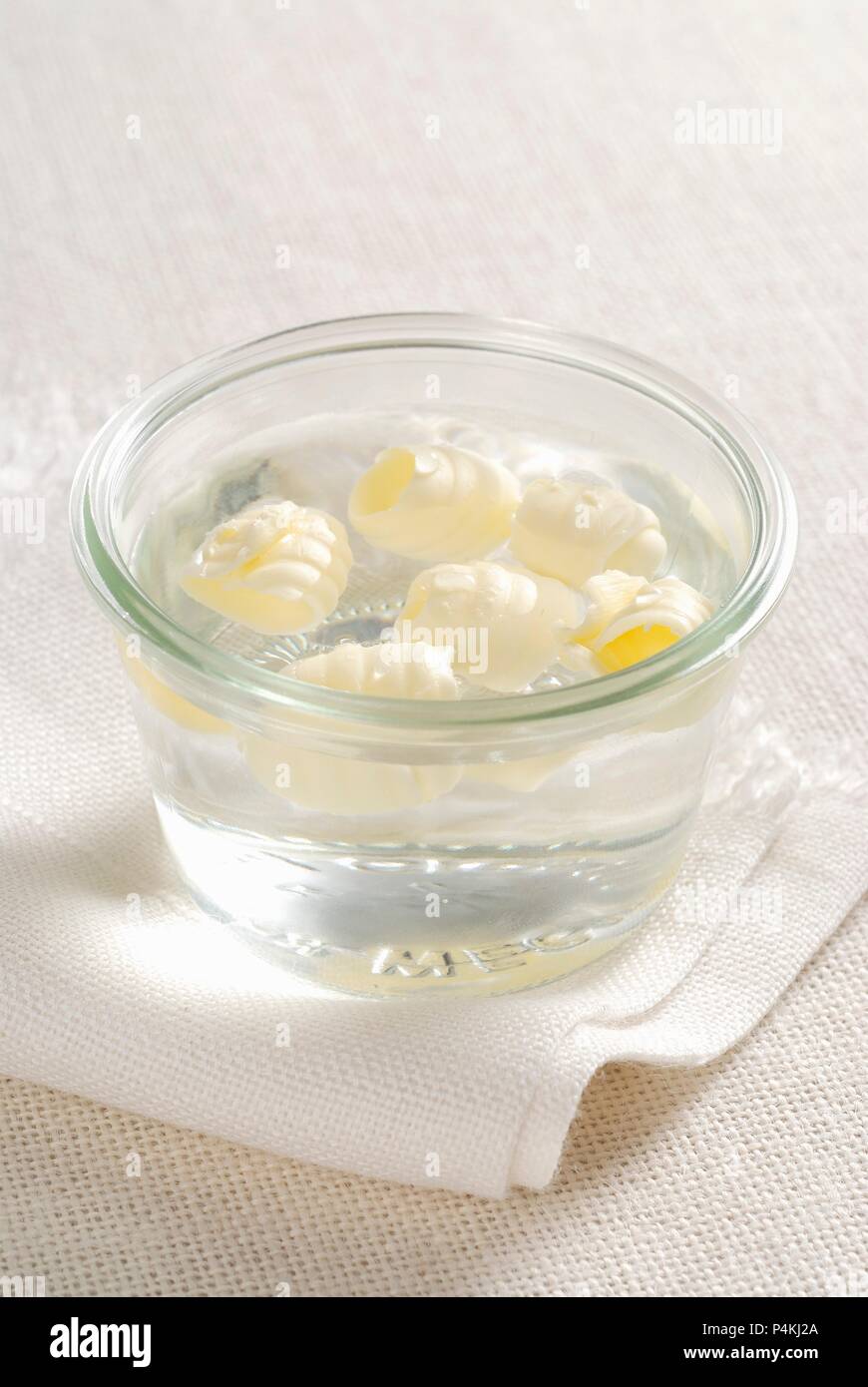 Food and water bowls hi-res stock photography and images - Alamy