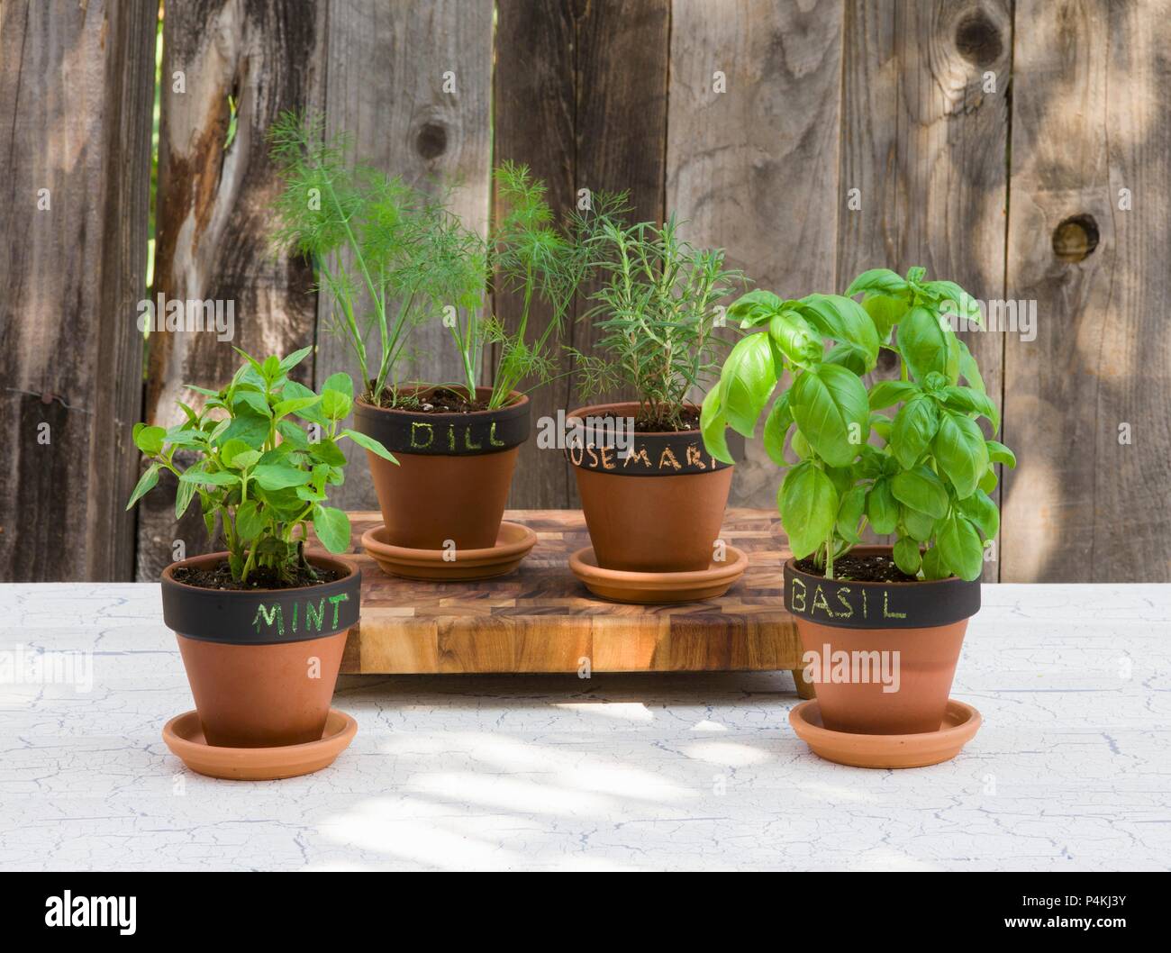 Types Of Flower Pots