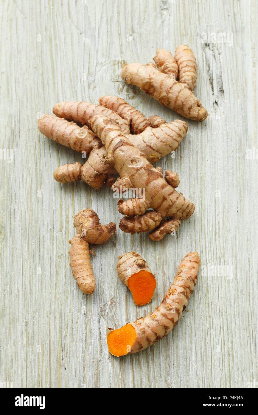 Fresh turmeric roots Stock Photo - Alamy