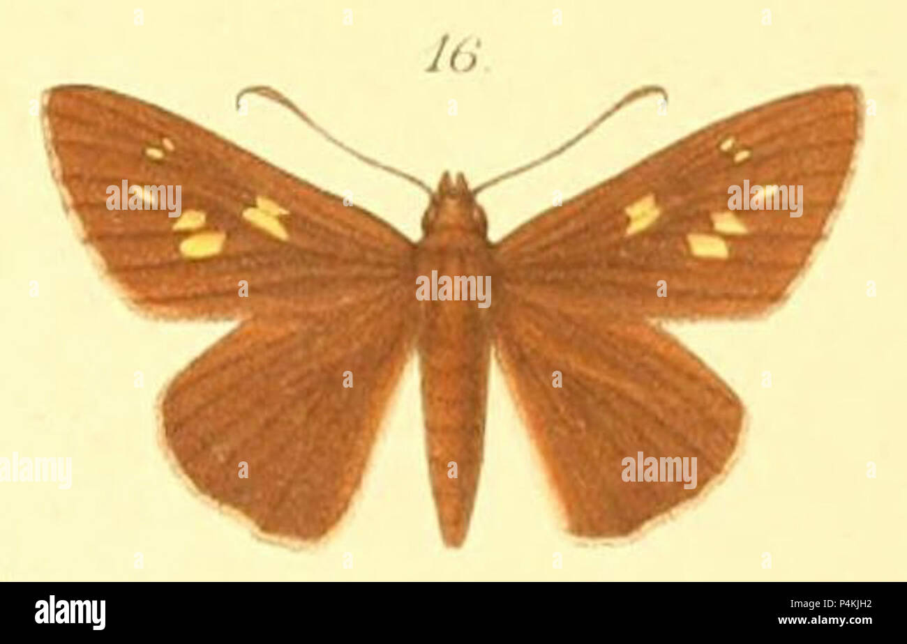 Ilerda High Resolution Stock Photography and Images - Alamy