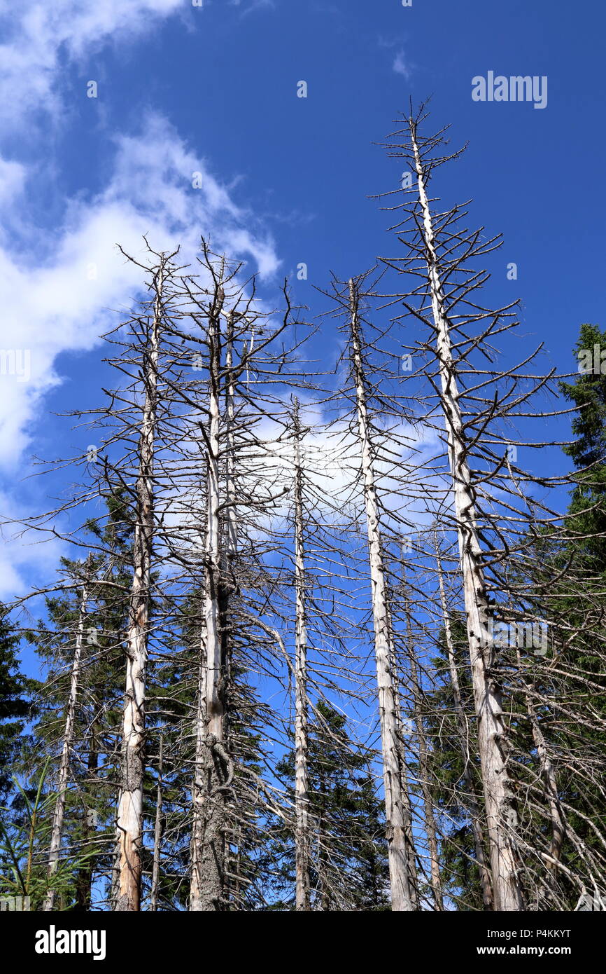 Mortality hi-res stock photography and images - Alamy