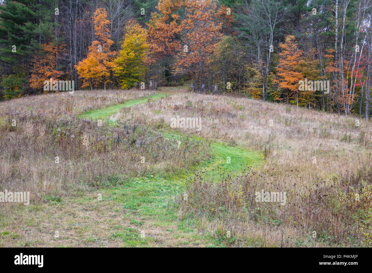 Lyndon vt hi-res stock photography and images - Alamy