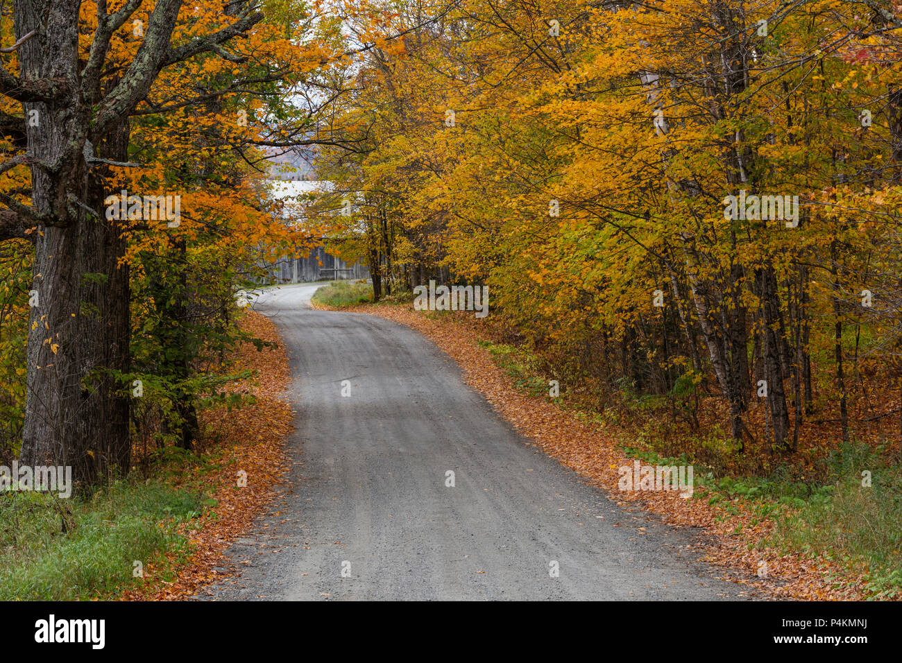 October in vermont hi-res stock photography and images - Alamy