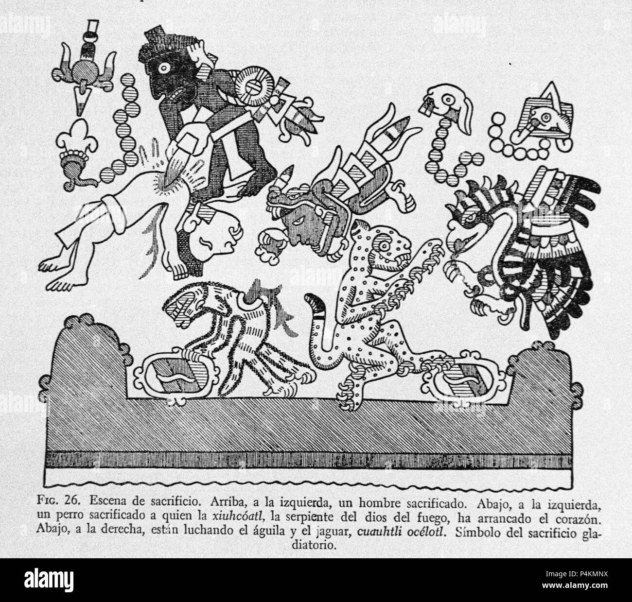 GRABADO - CODICE BORGIA - ESCENA DE SACRIFICIO. Location: INSTITUTO DE ...