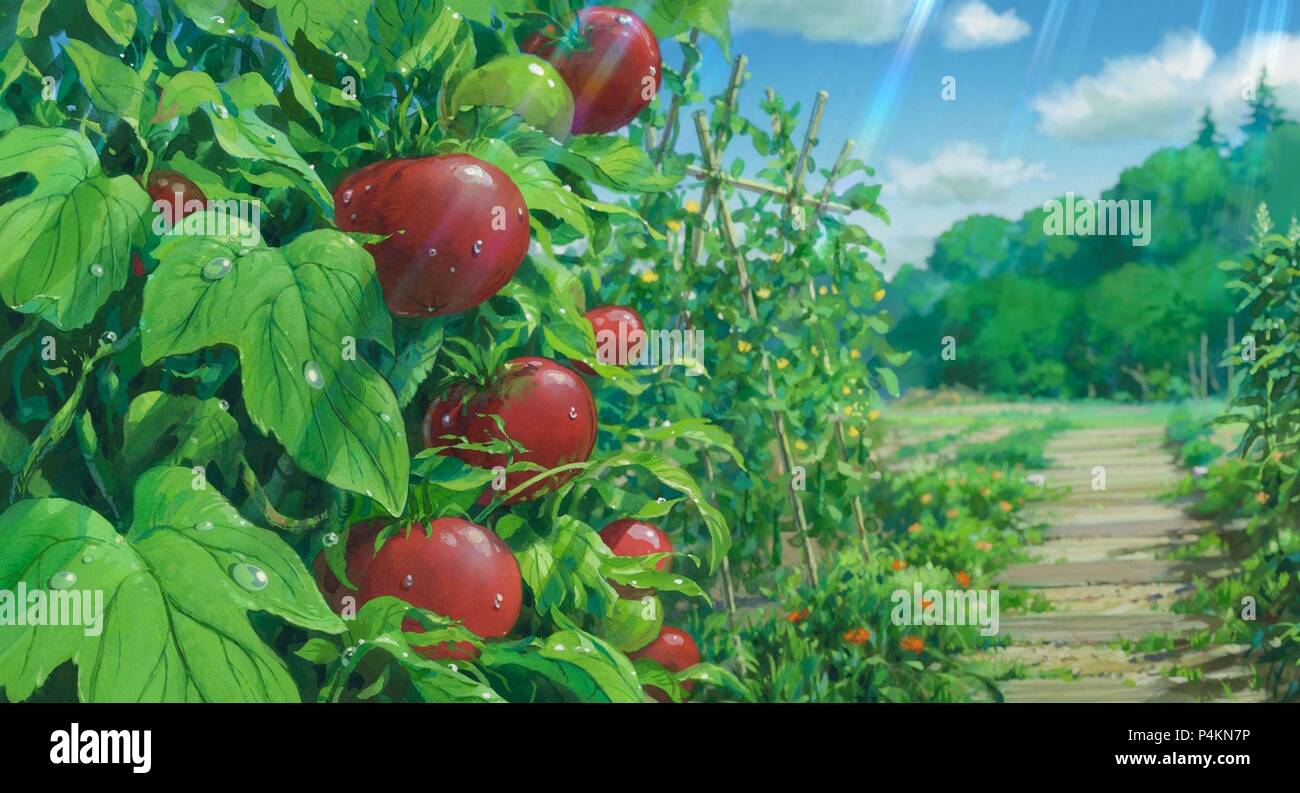 Original Film Title: OMOIDE NO MANI. English Title: TRACHTENBERG, DAN ...