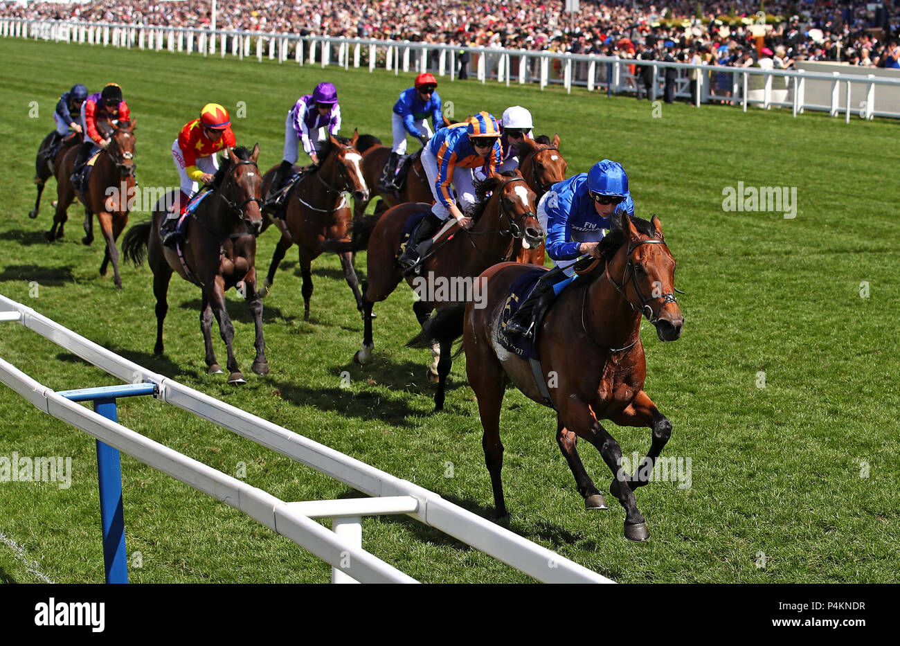 Old persian ascot hi-res stock photography and images - Alamy