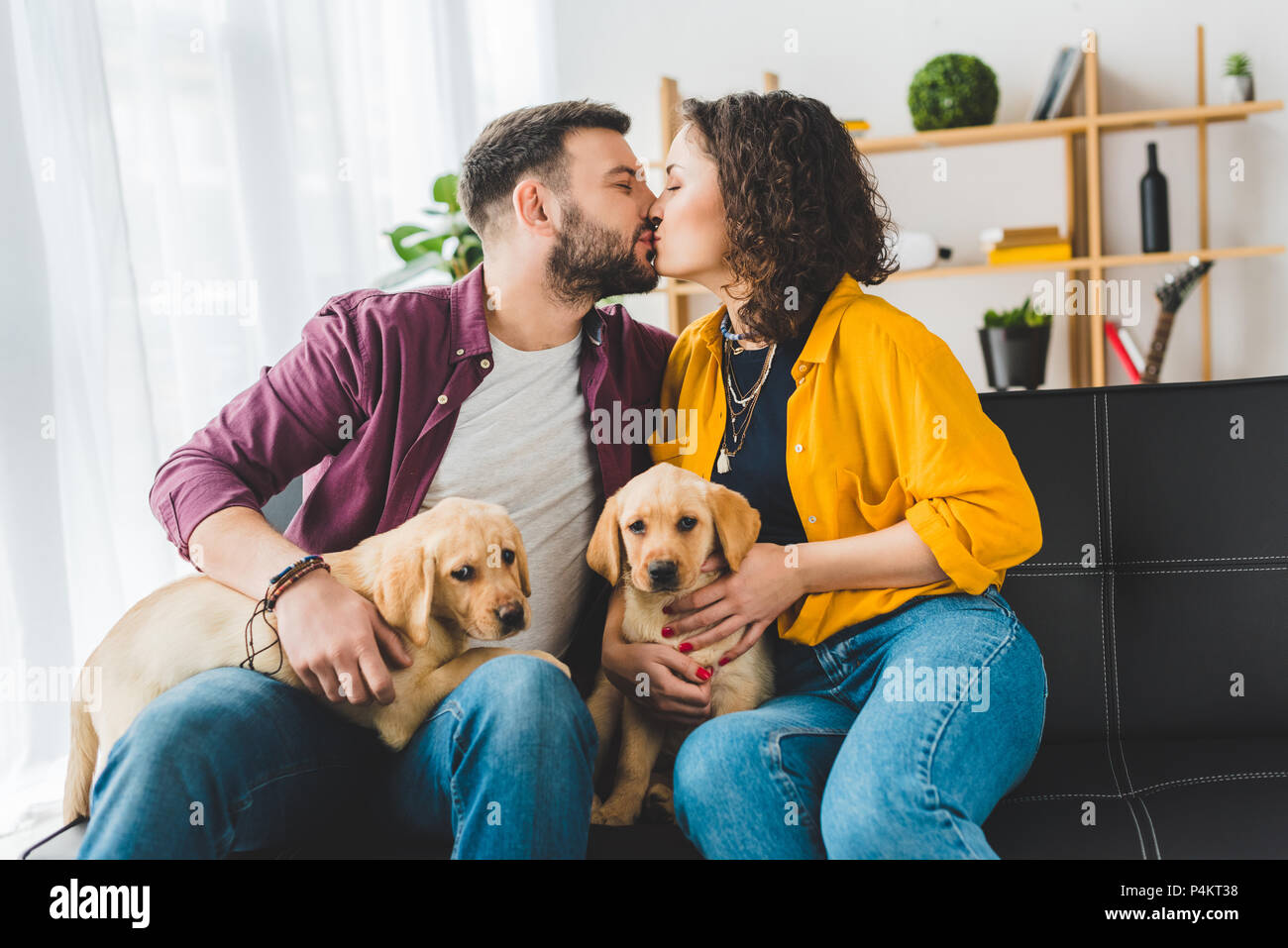 Man and woman kissing each other and holding labrador puppies Stock ...