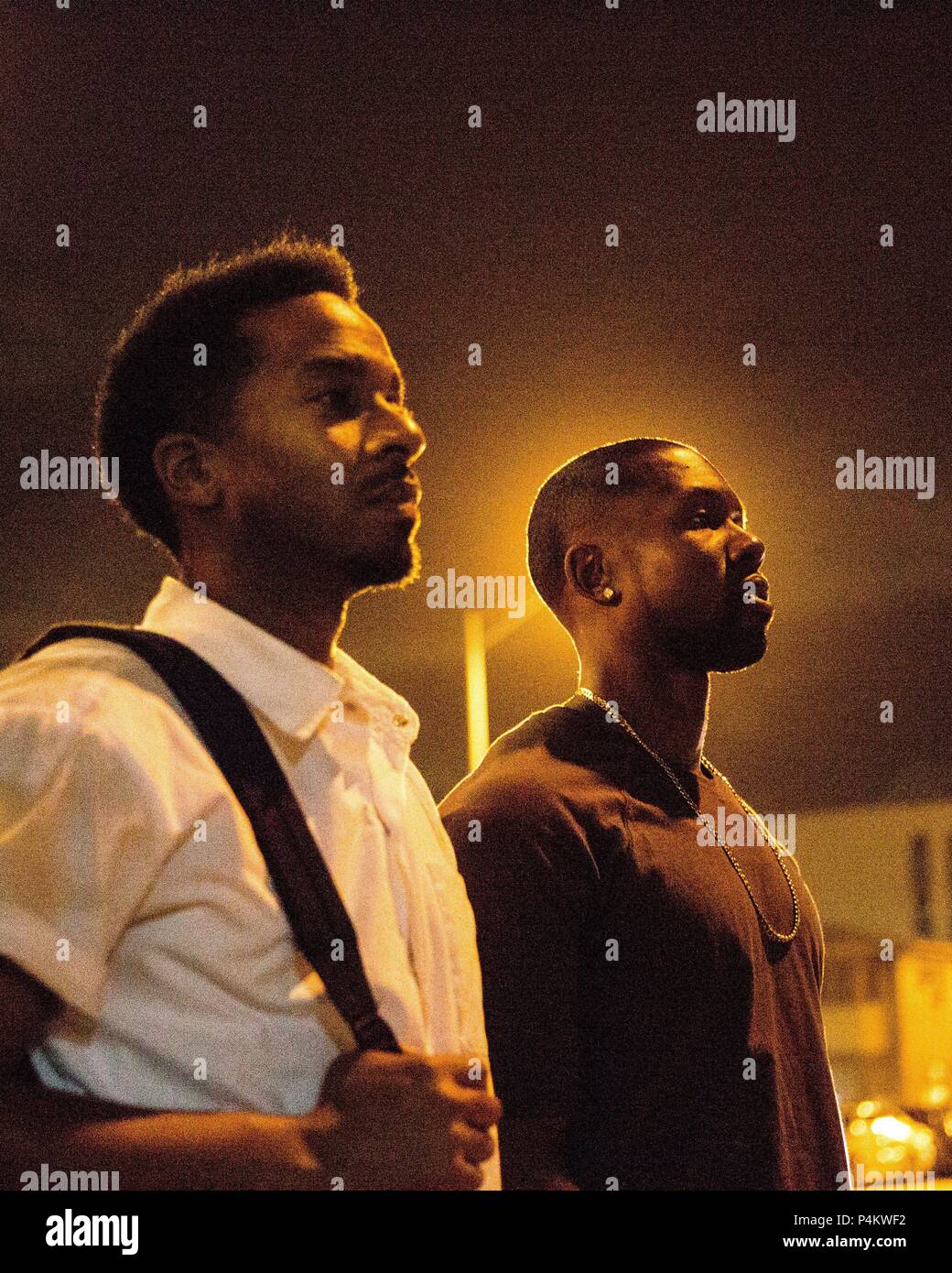 Original Film Title: MOONLIGHT. English Title: MOONLIGHT. Film Director ...