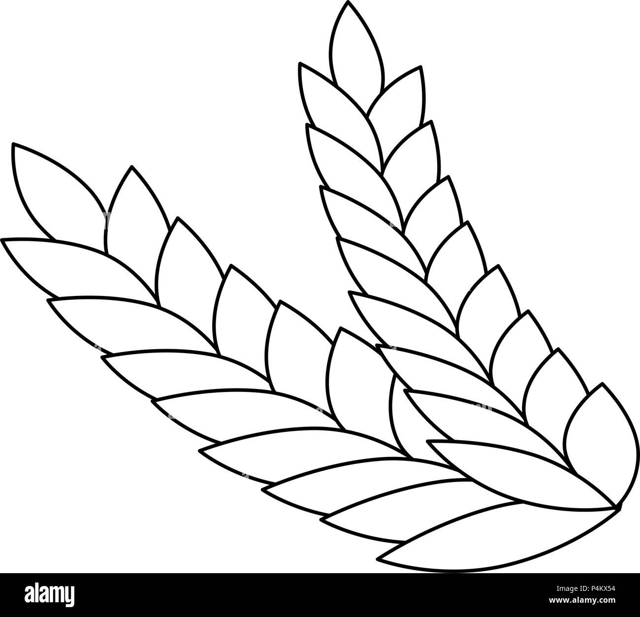 wheat leafs isolated icon vector illustration design Stock Vector Image ...