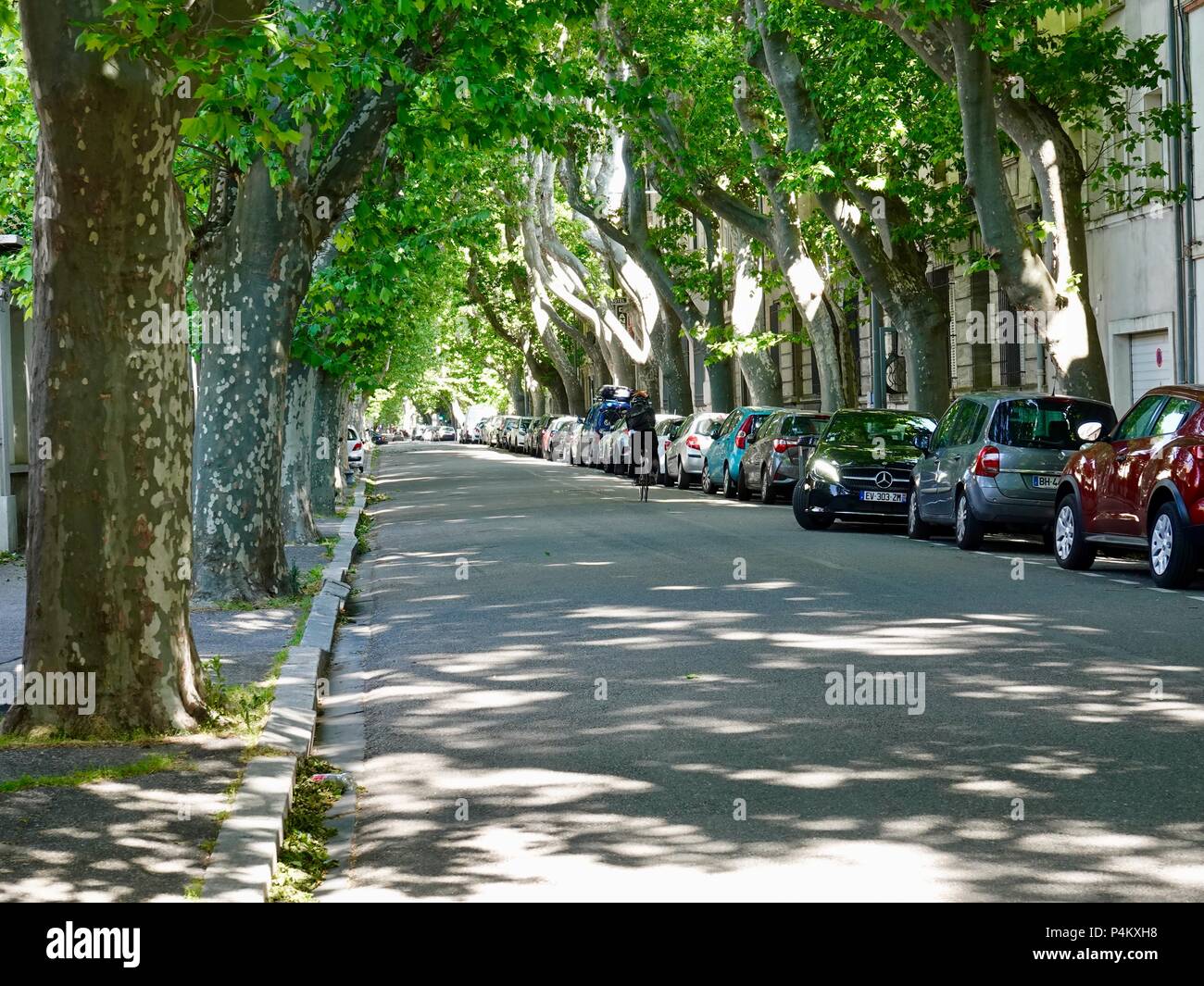 Down tree lined street hi-res stock photography and images - Alamy