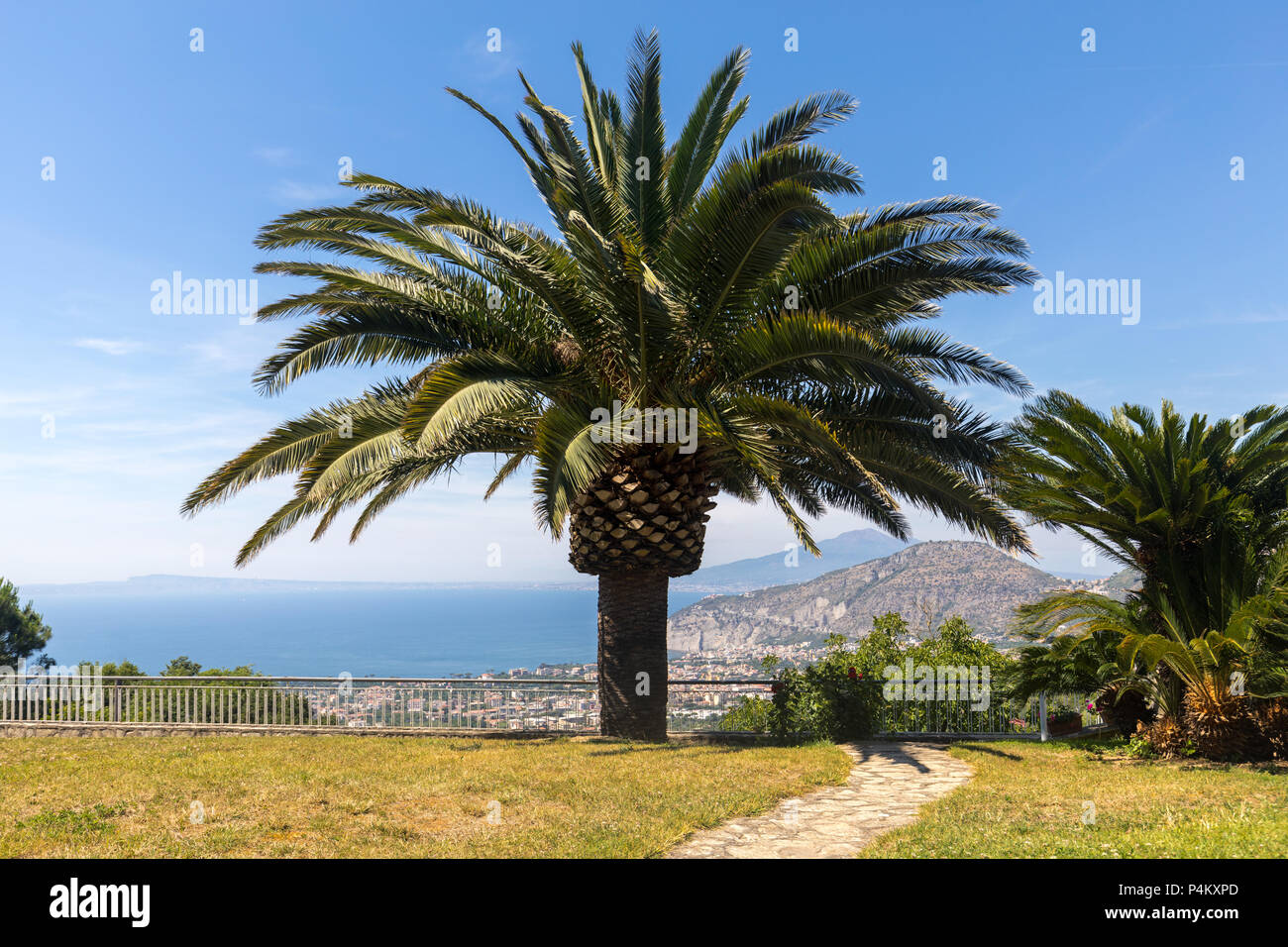 Palm tree in naples italy hi-res stock photography and images - Alamy