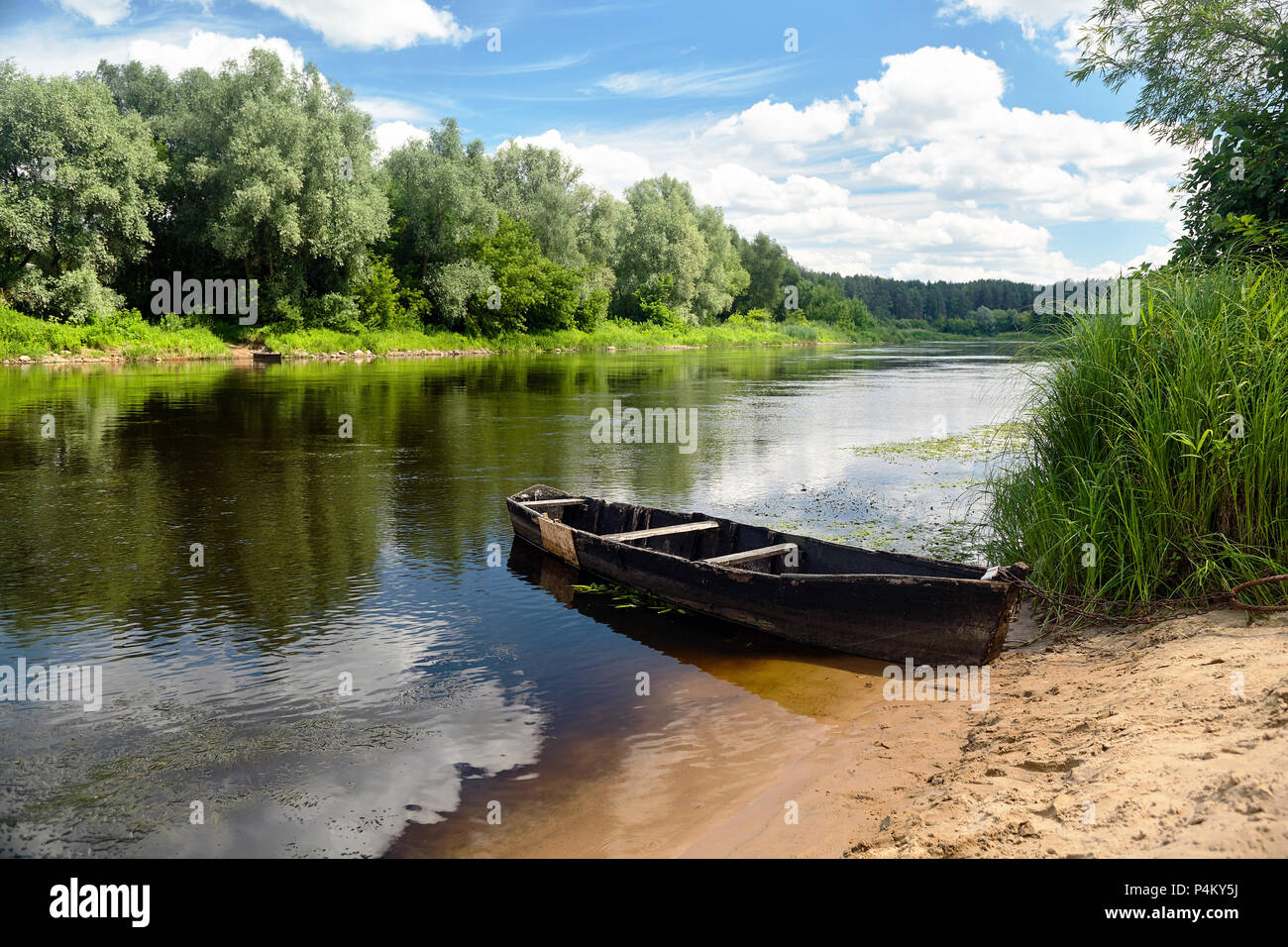 Old rotten rowing boat on green summer beach under blue sky with white ...