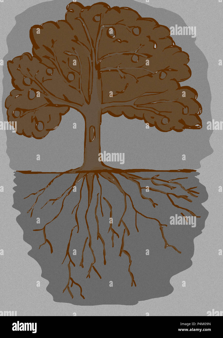 Tree and roots vintage Stock Photo - Alamy