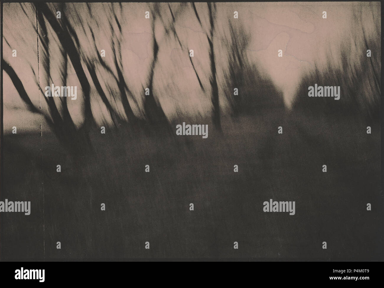 Forest path in northern Germany. Shaky picture, emptiness and ...