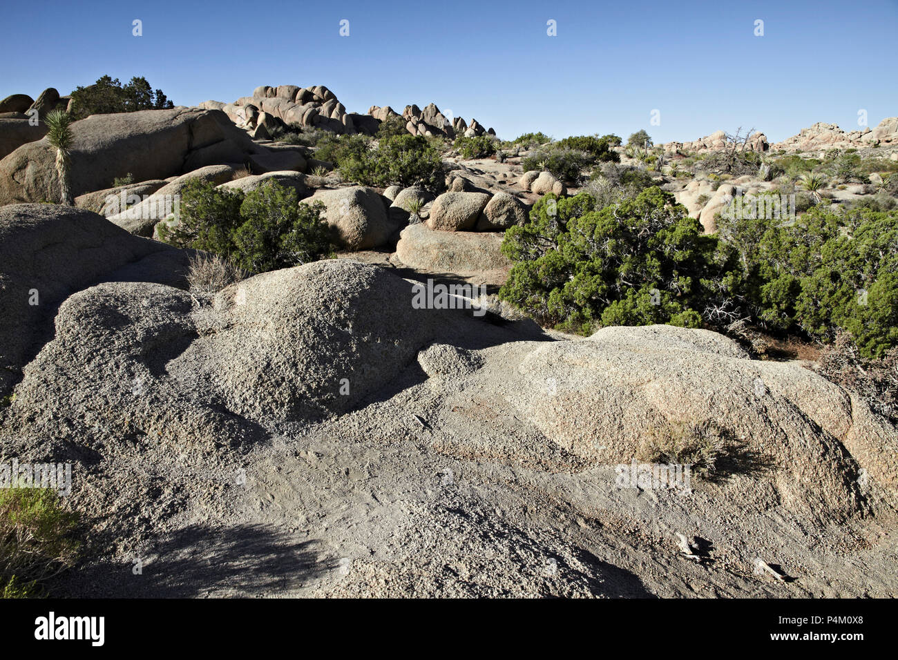 Rocks with Blue Sky in the Joshua Tree National Park, USA Stock Photo ...