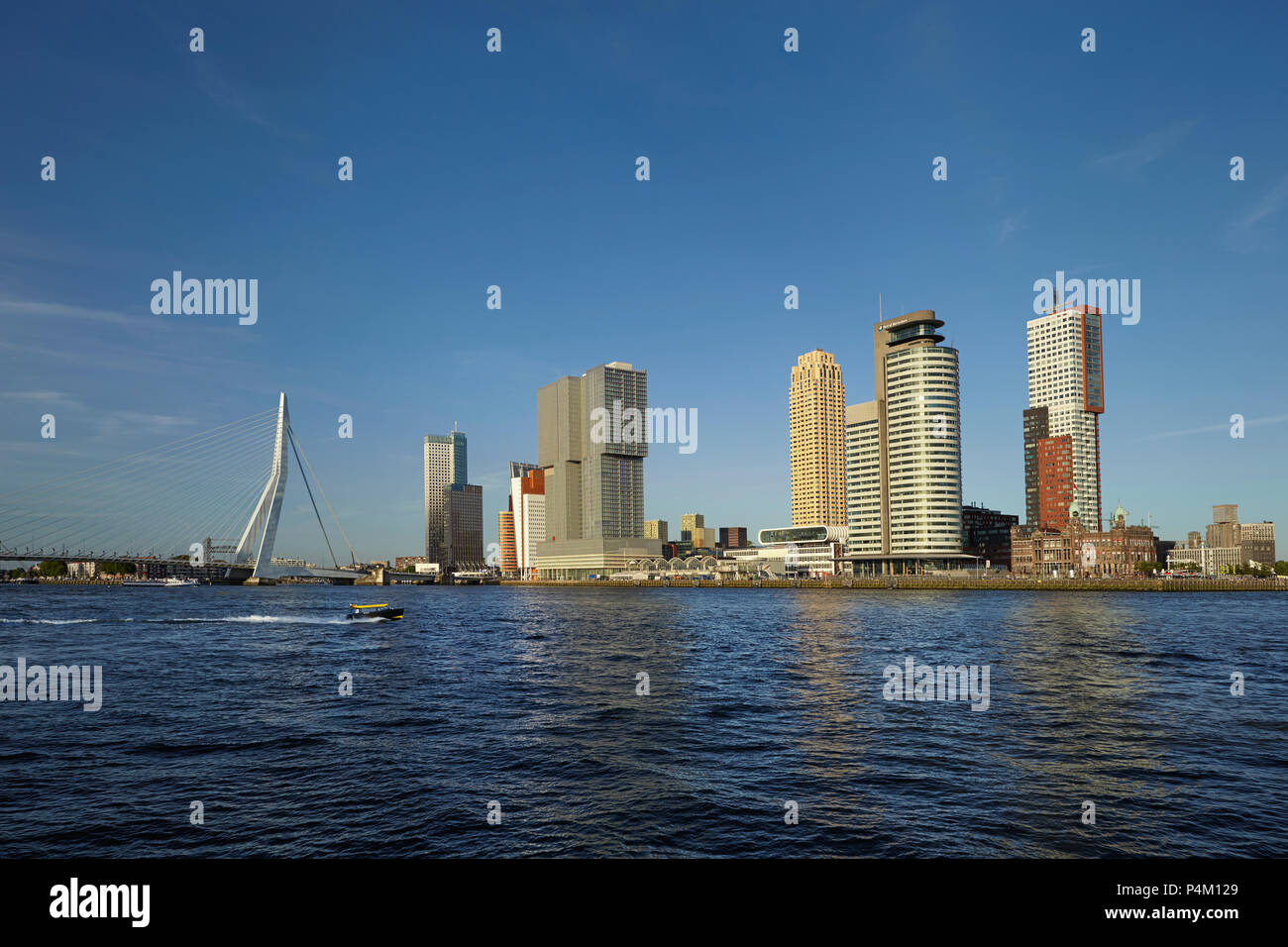 Skyline of Rotterdam in Holland with the Erasmus bridge over the Maas ...