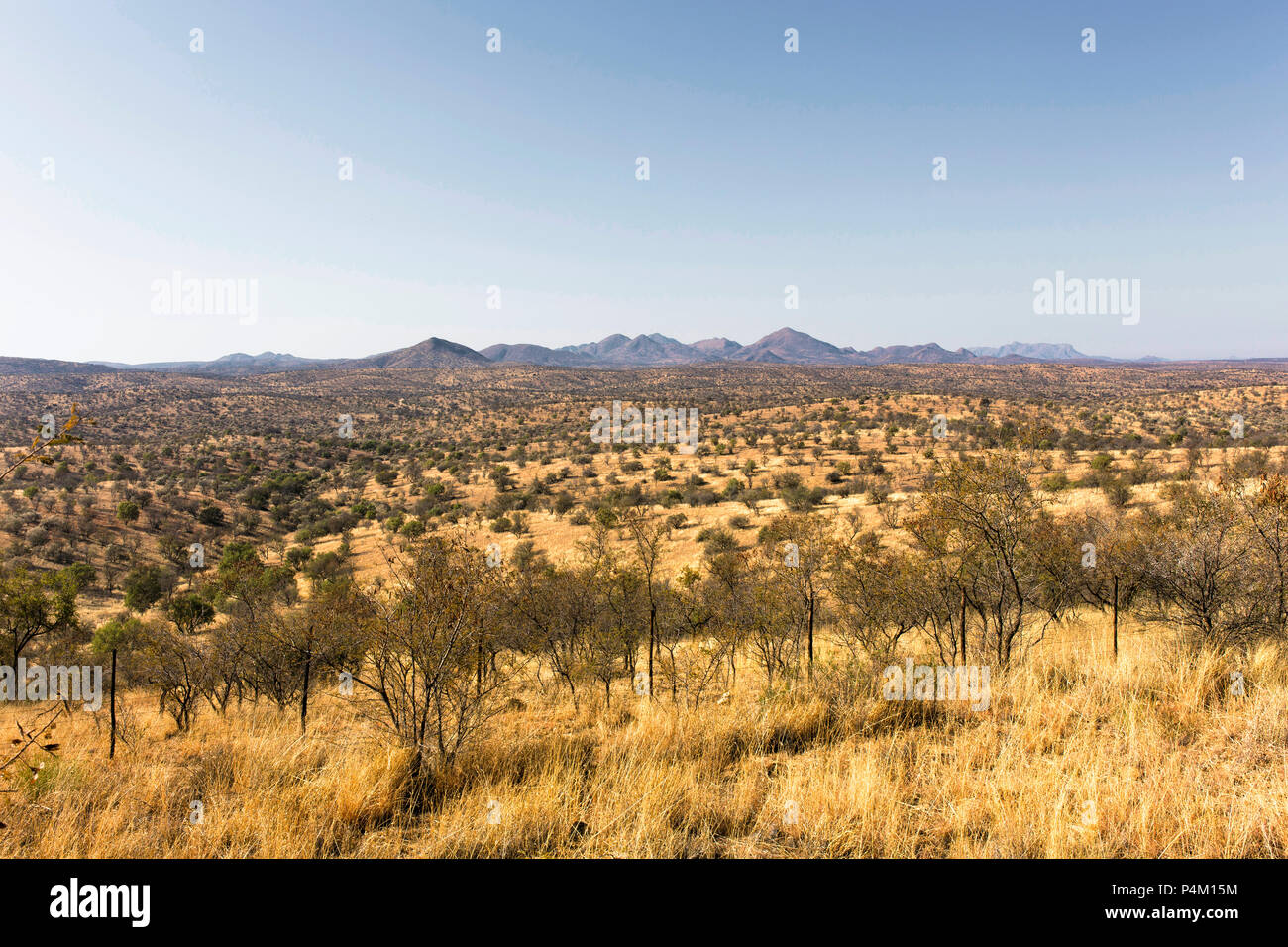 Rural area landscape near Windhoek in Namibia Stock Photo - Alamy