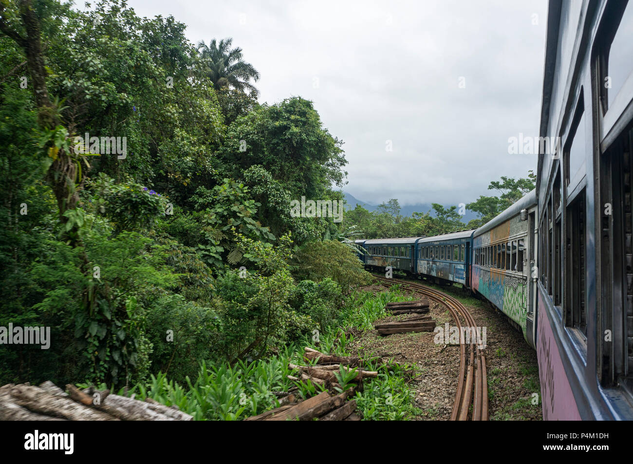 line train track curve view forest railway nature transportation Stock ...