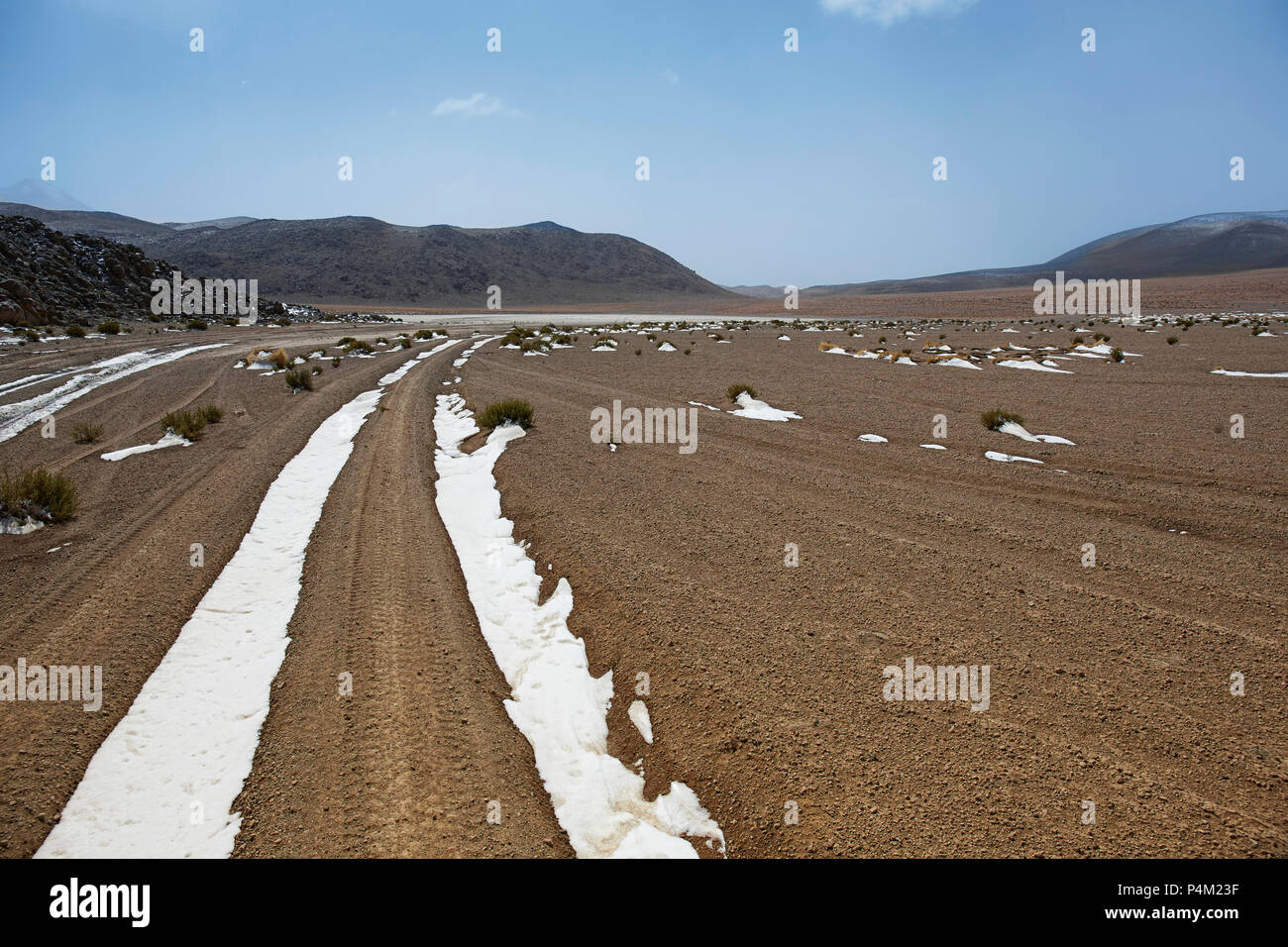 Snow covered track in Farallon de Tara, Atacama Desert, Bolivia Stock ...