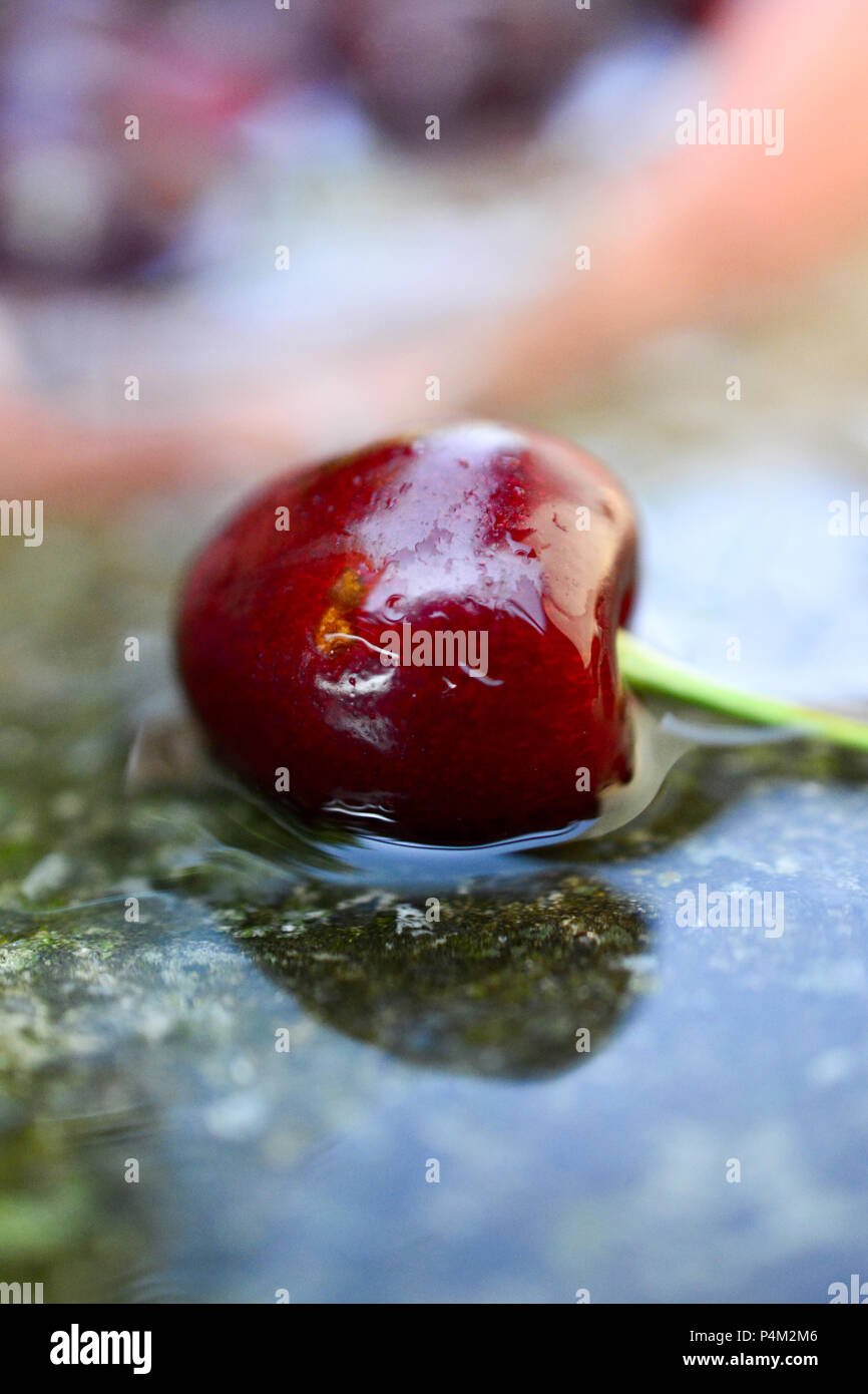 red ripe raw cherries with waterdops,image of a Stock Photo - Alamy