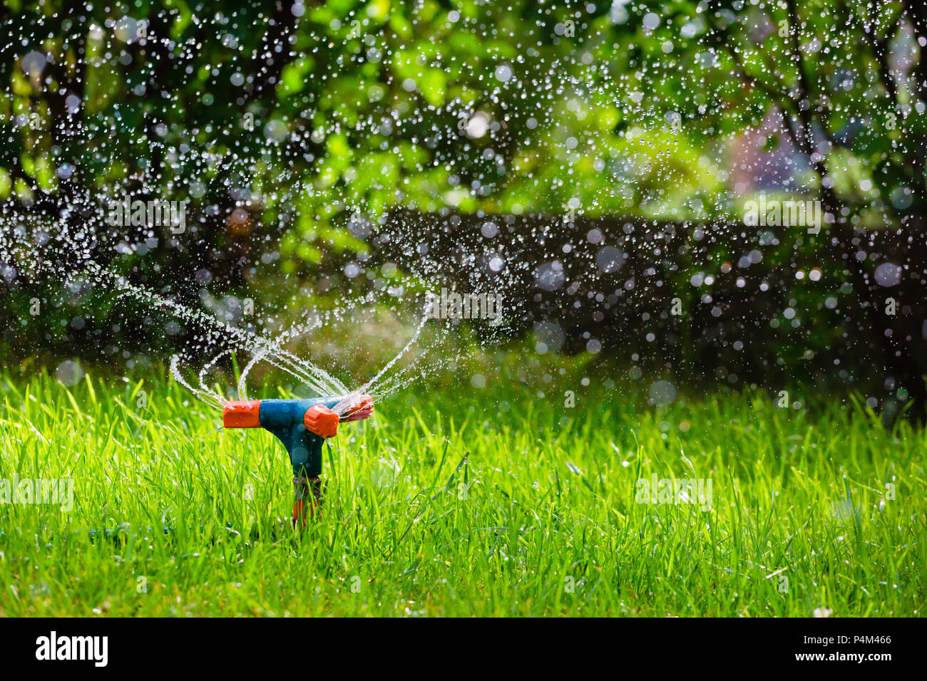 Rotating garden sprinkler hi-res stock photography and images - Alamy