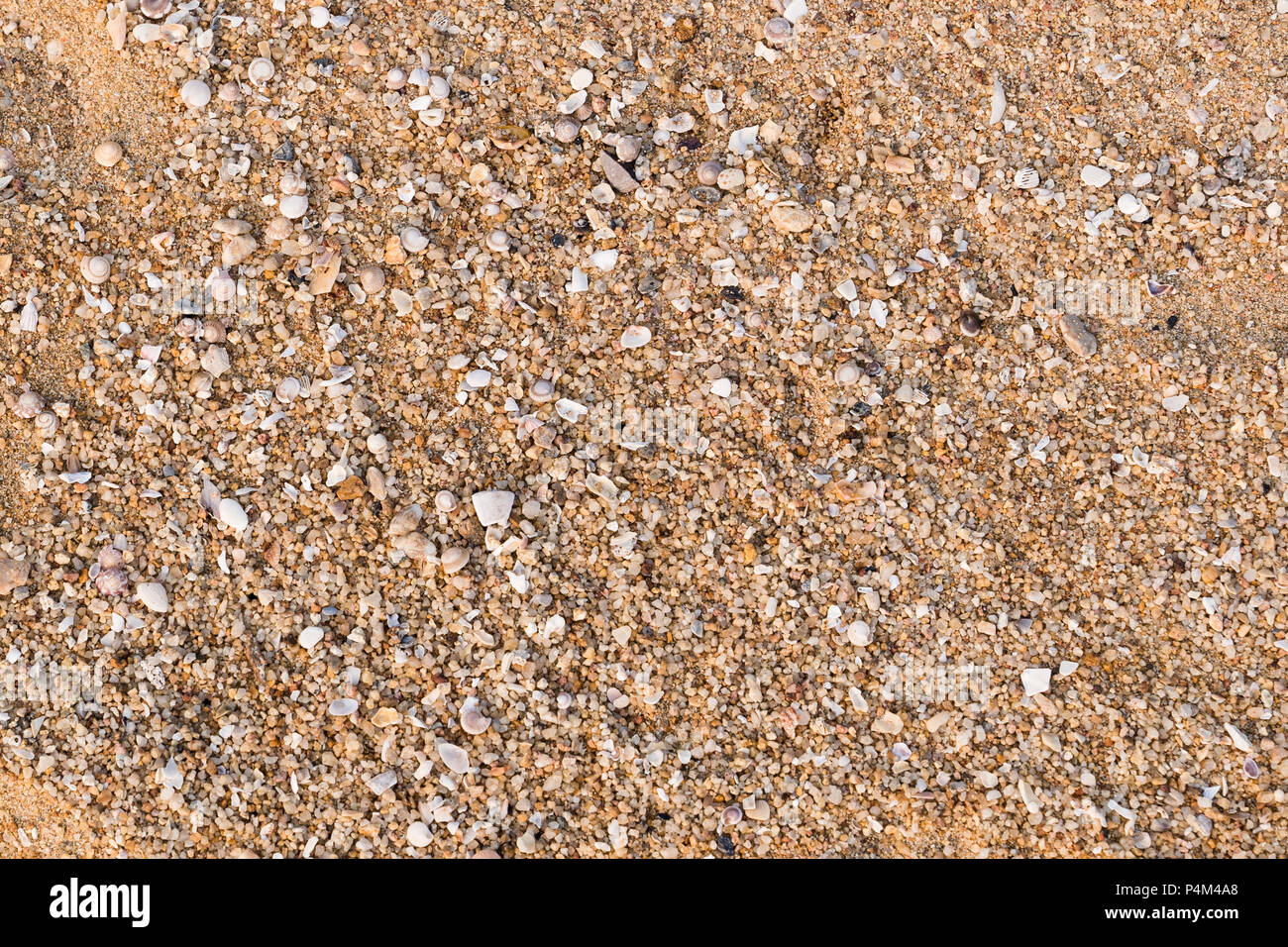 Close up sand hi-res stock photography and images - Alamy