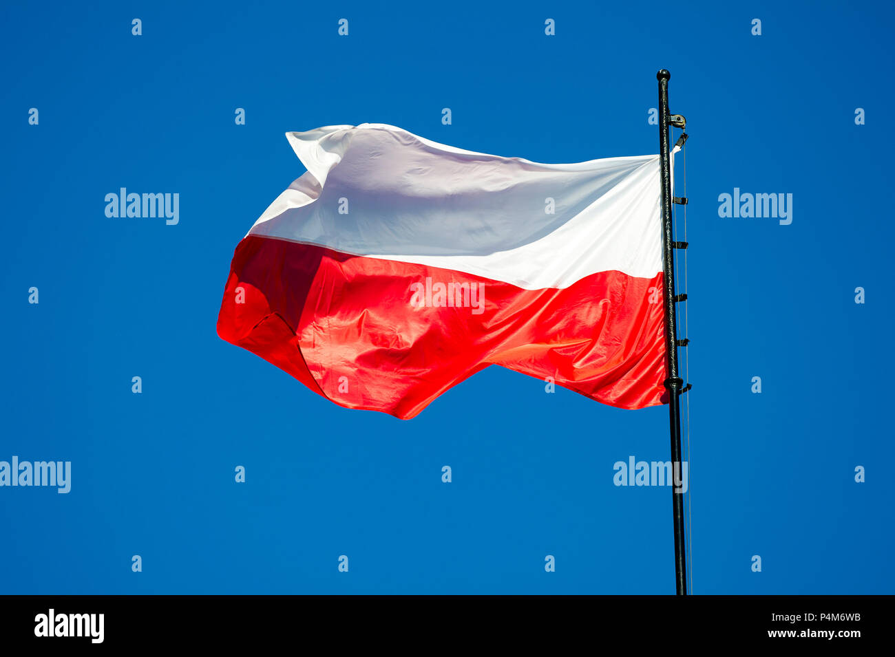 Flag Of The Poland High Resolution Stock Photography and Images - Alamy