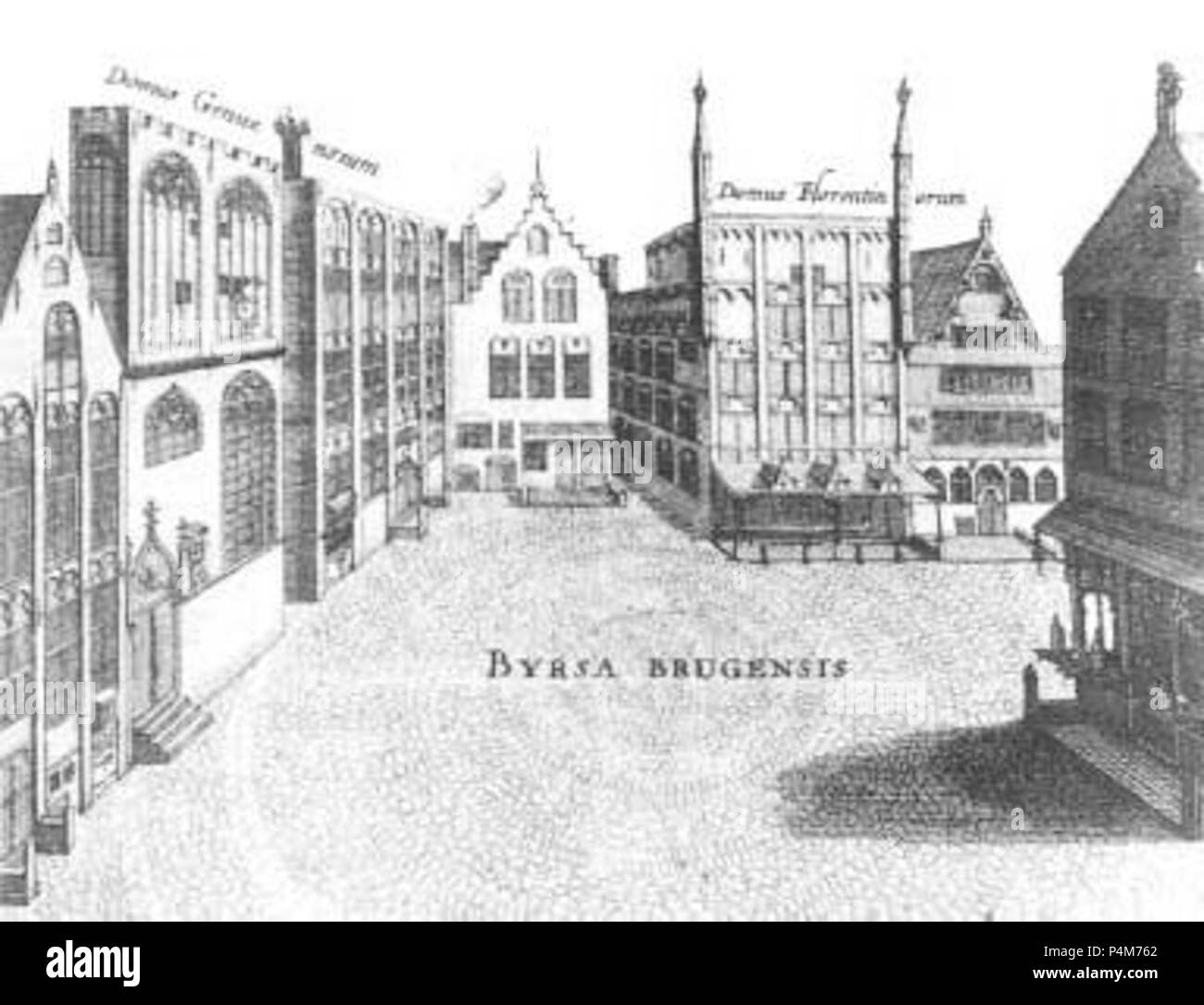 Sanderus hi-res stock photography and images - Alamy