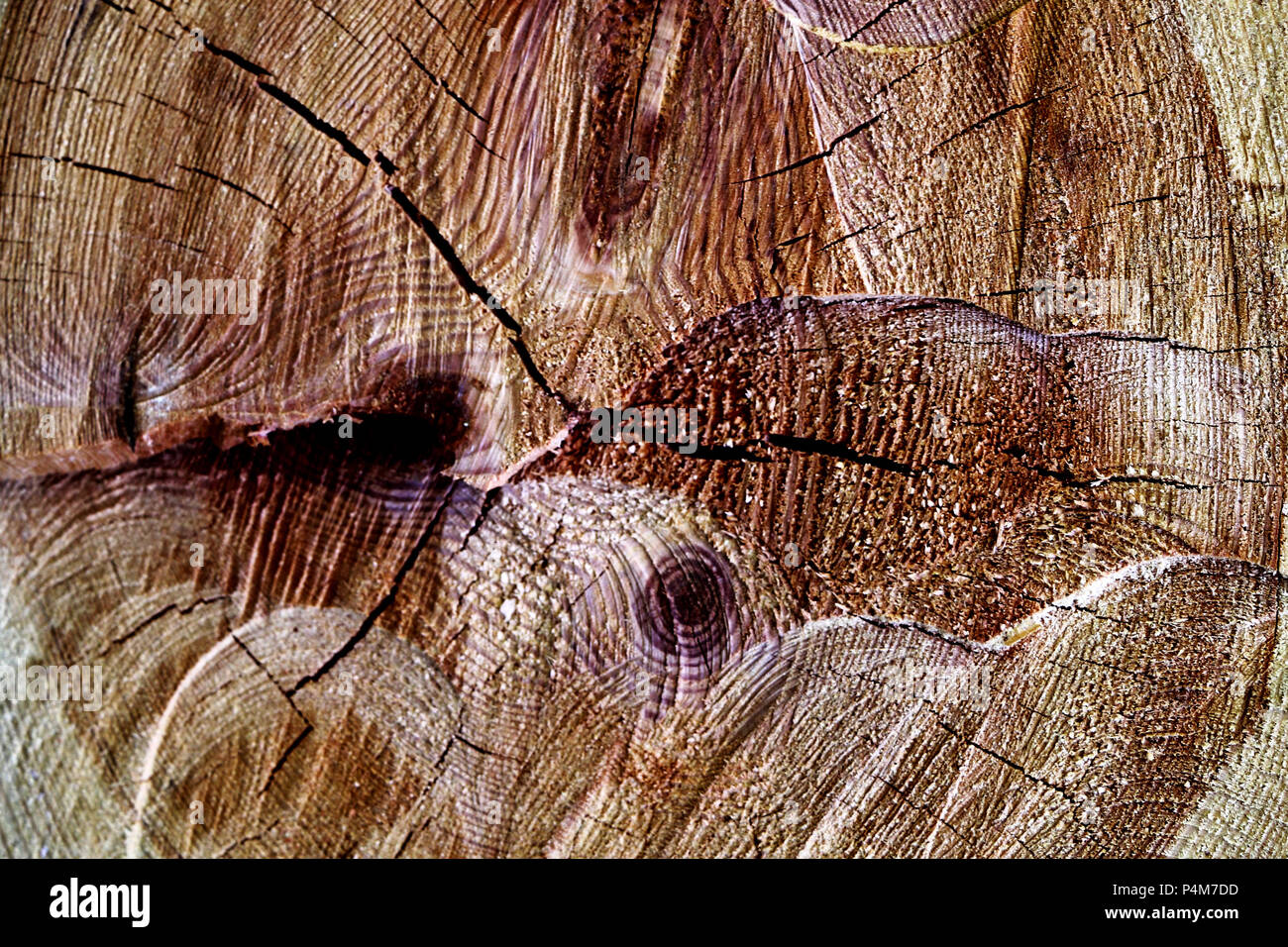 Concentric circles nature hi-res stock photography and images - Alamy