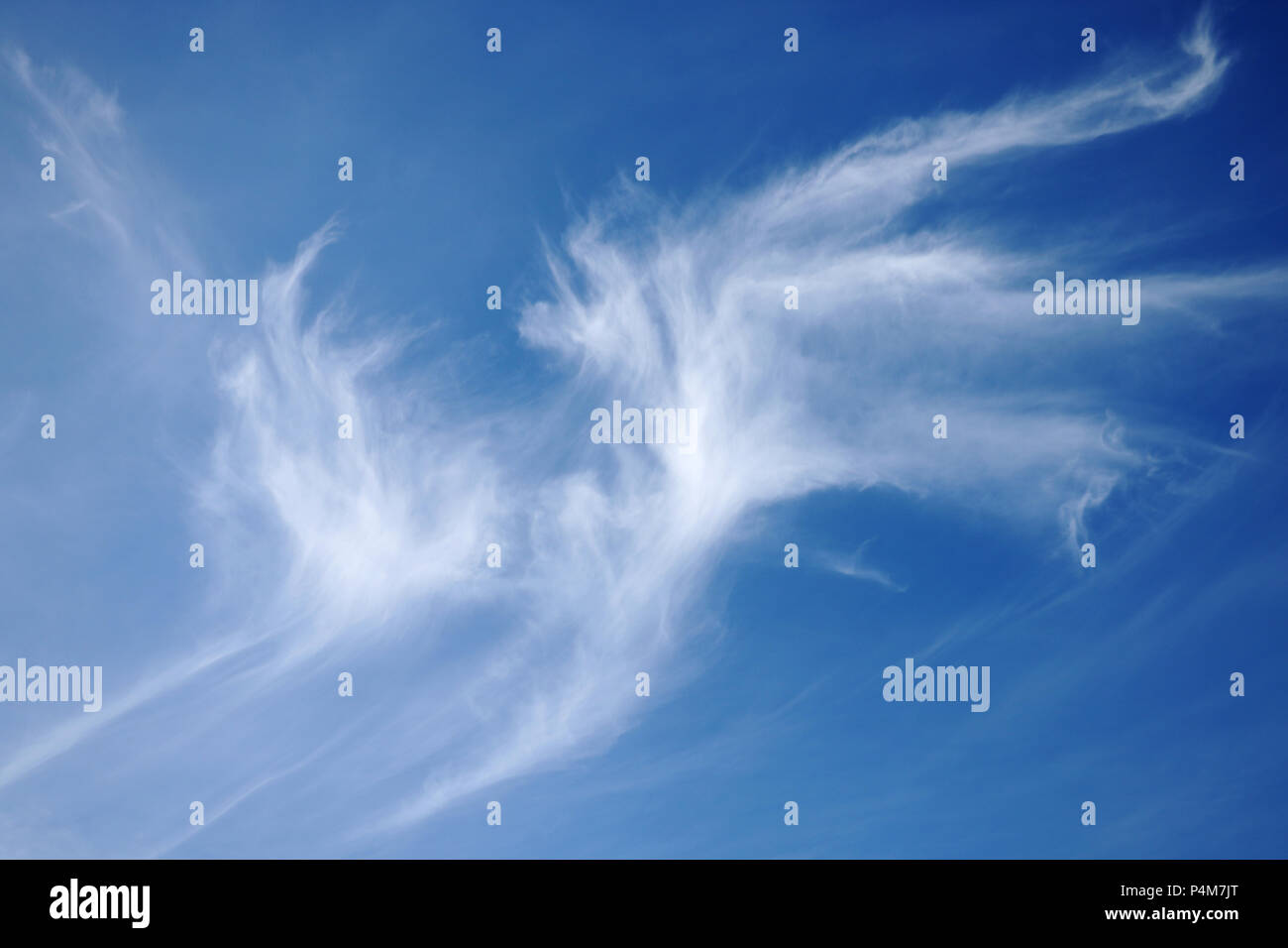 Light beautiful hi-res stock photography and images - Alamy