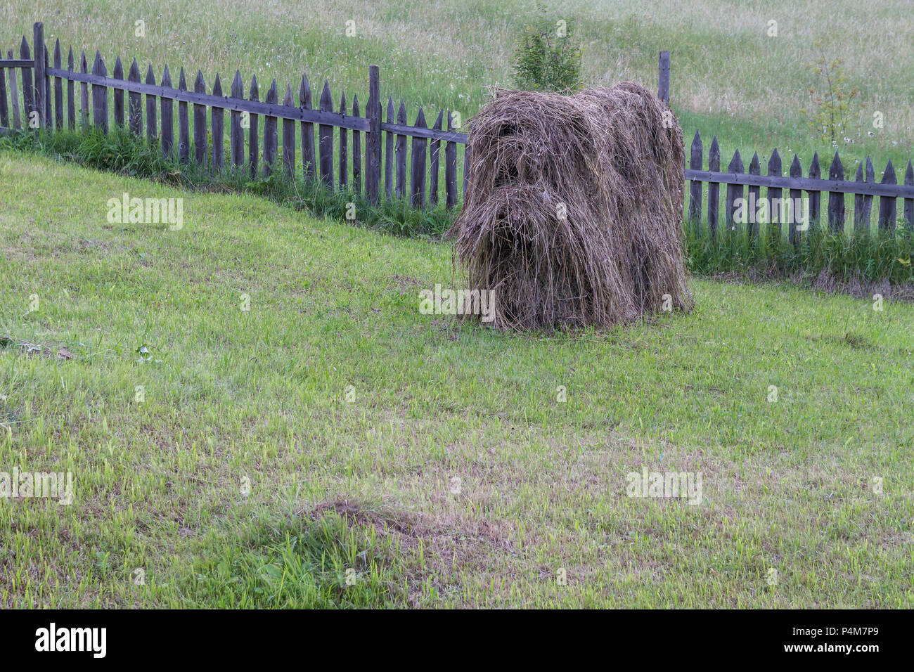 drying grass for winter preparing for cold days Stock Photo - Alamy