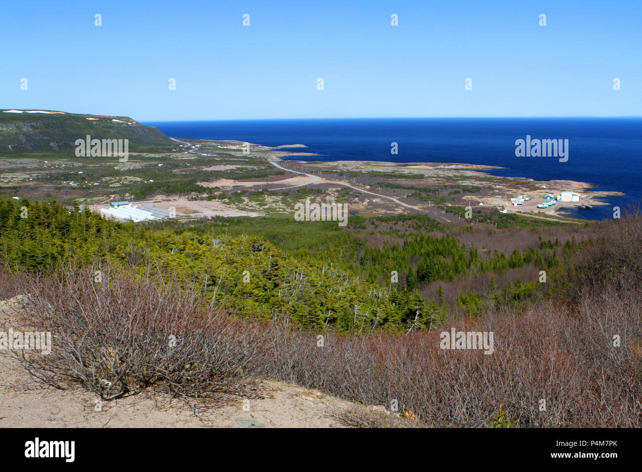 Coastal ecology hi-res stock photography and images - Alamy