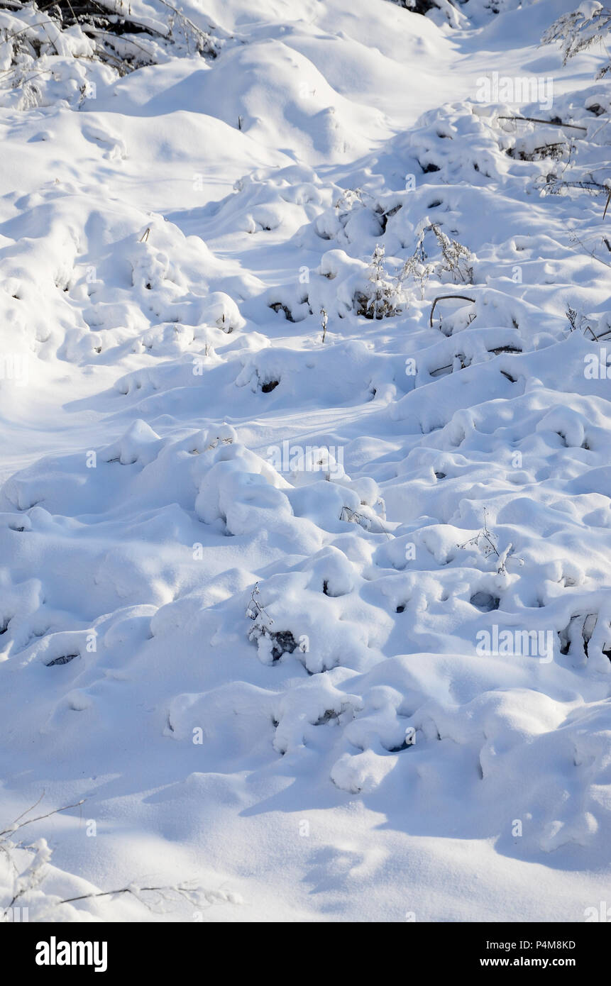 Fragment of the road, covered with a thick layer of snow. The texture ...