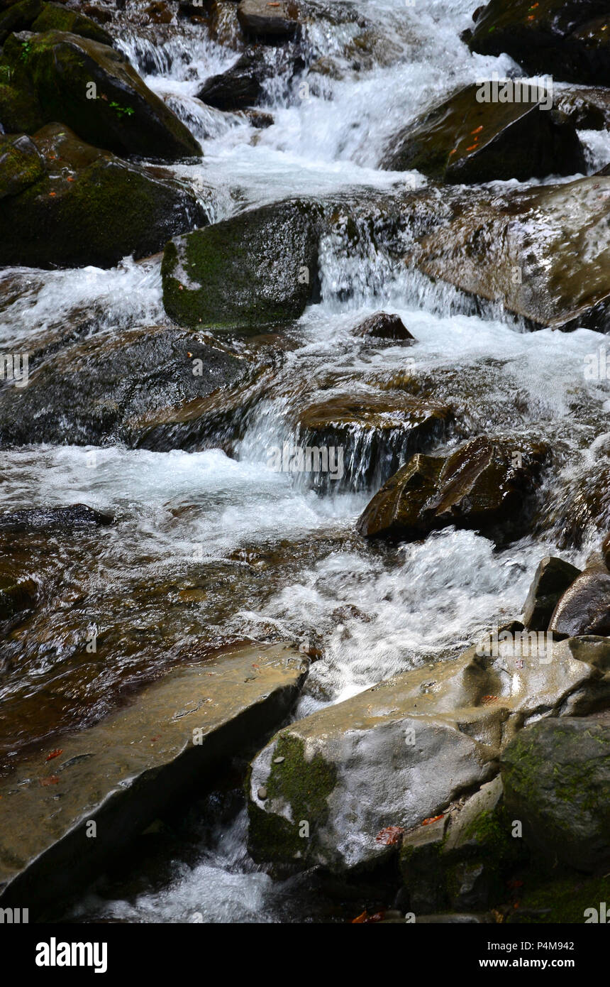 Close-up image of a small wild waterfall in the form of short streams ...