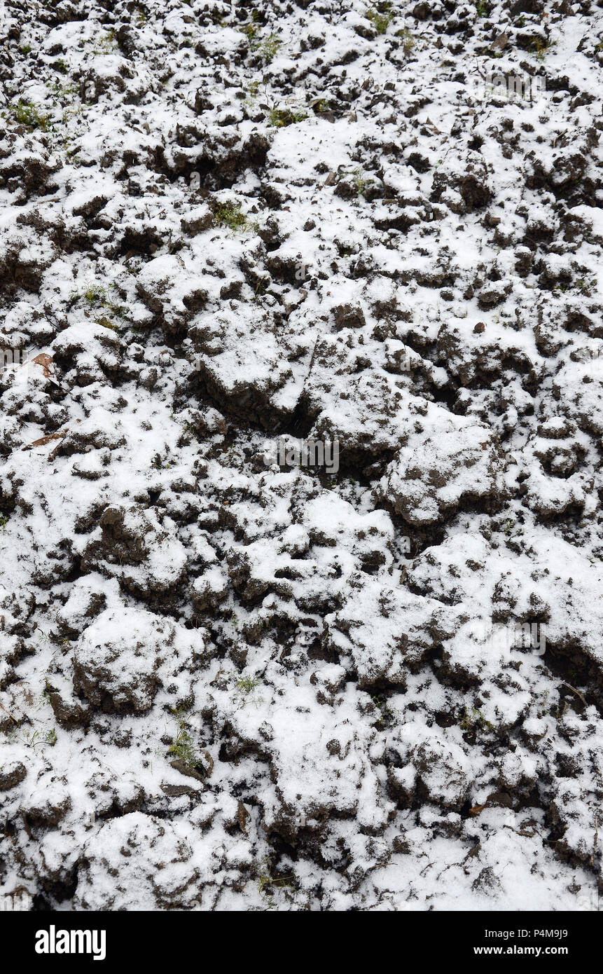 The texture of the ground, covered with a thin layer of snow. The soil ...