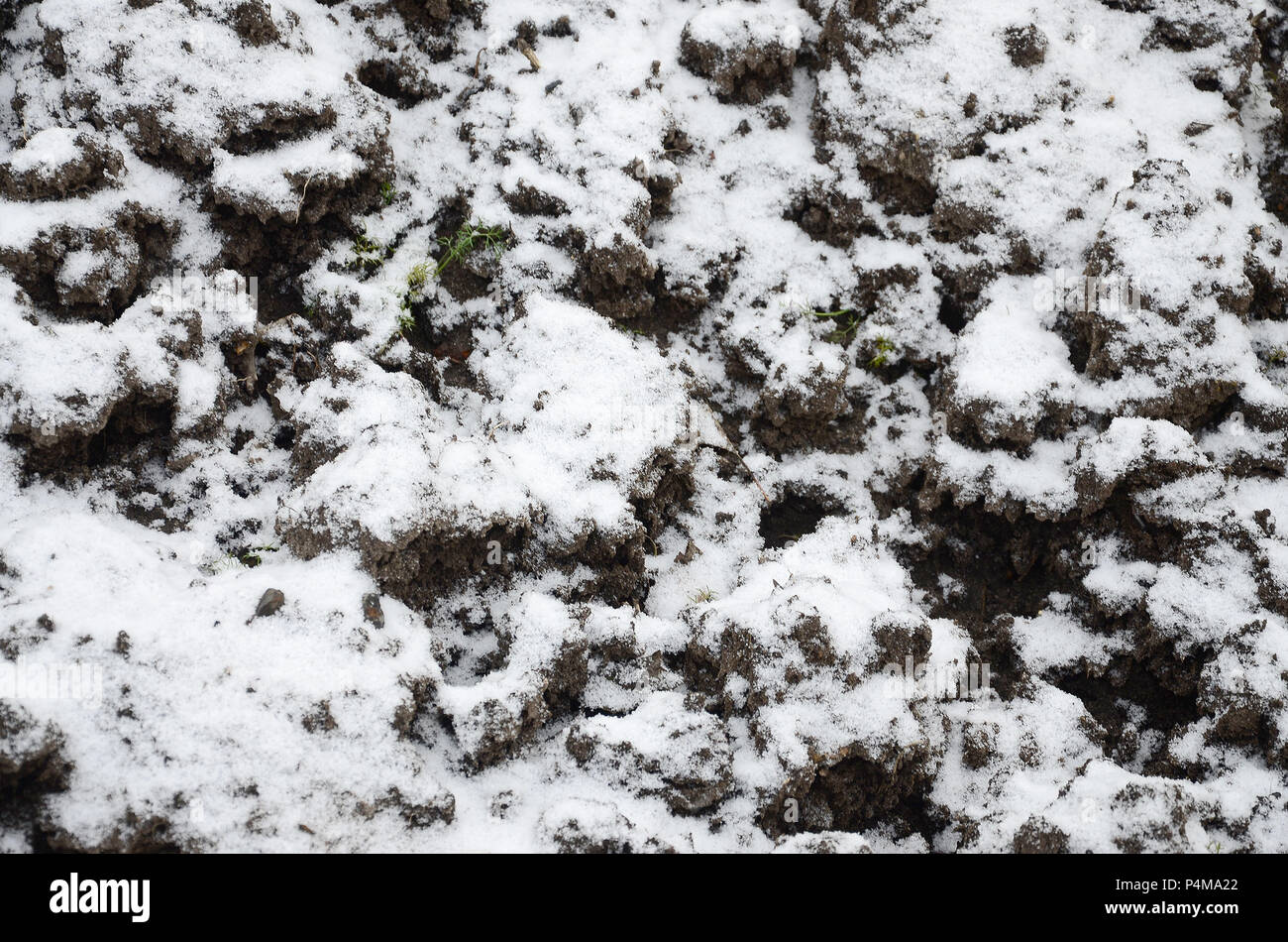 The texture of the ground, covered with a thin layer of snow. The soil ...