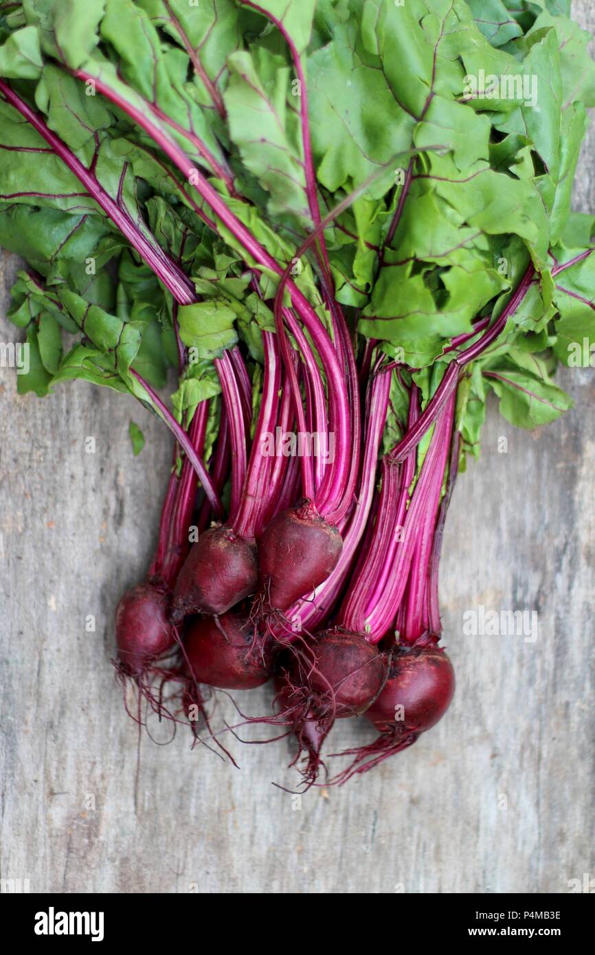 Beetroot hi-res stock photography and images - Alamy