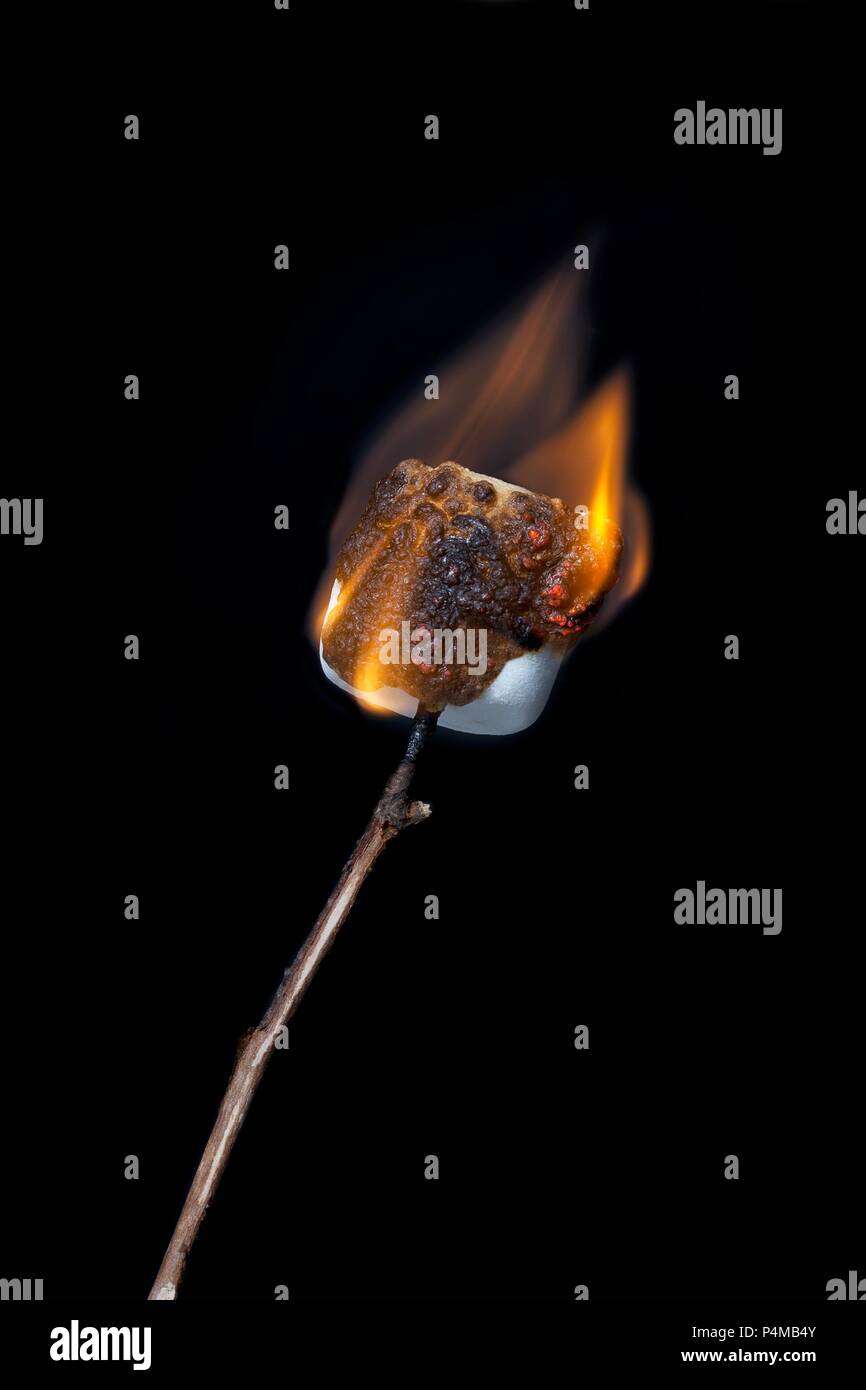 Burning Marshmallow on a Stick Stock Photo - Alamy