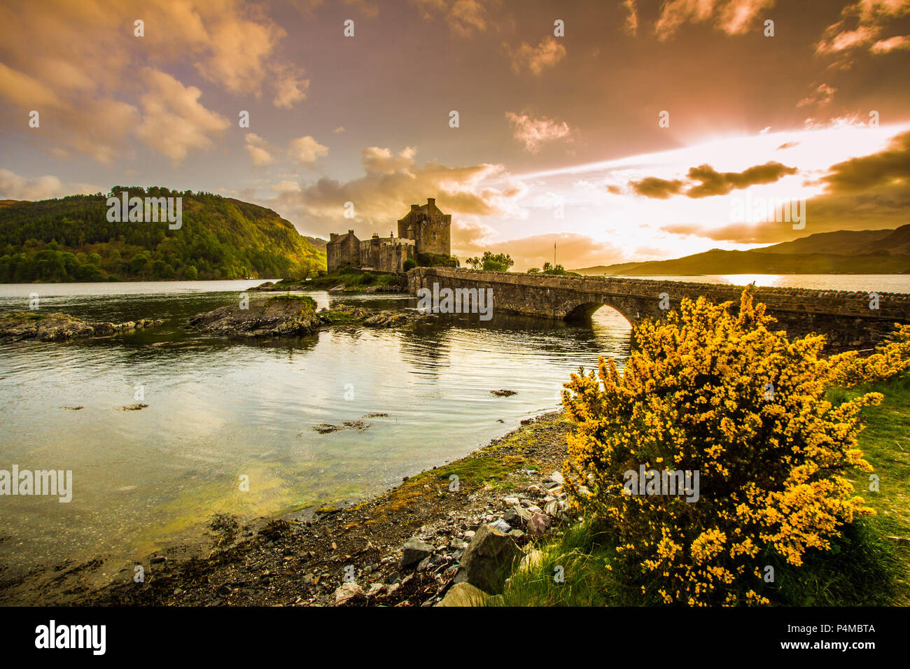 The four bridges scotland hi-res stock photography and images - Alamy