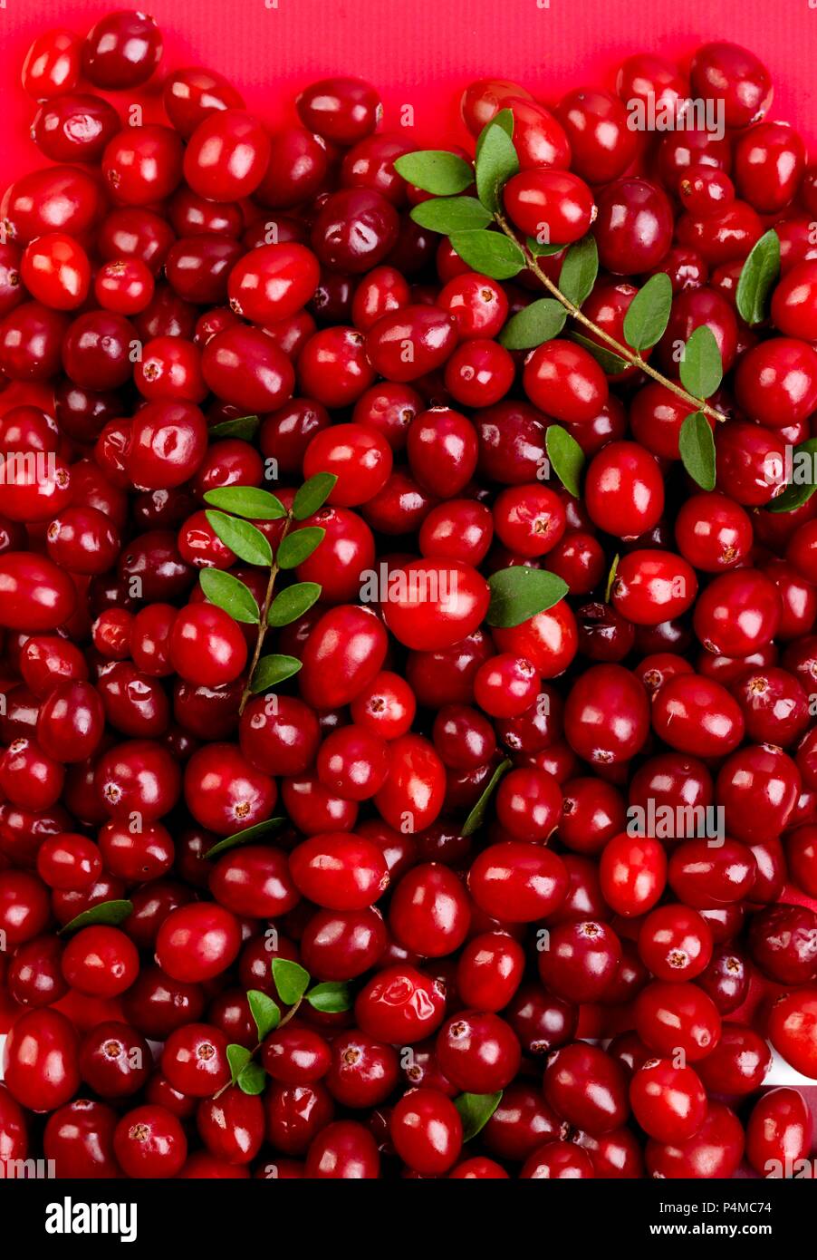 The redness of the colors hi-res stock photography and images - Alamy