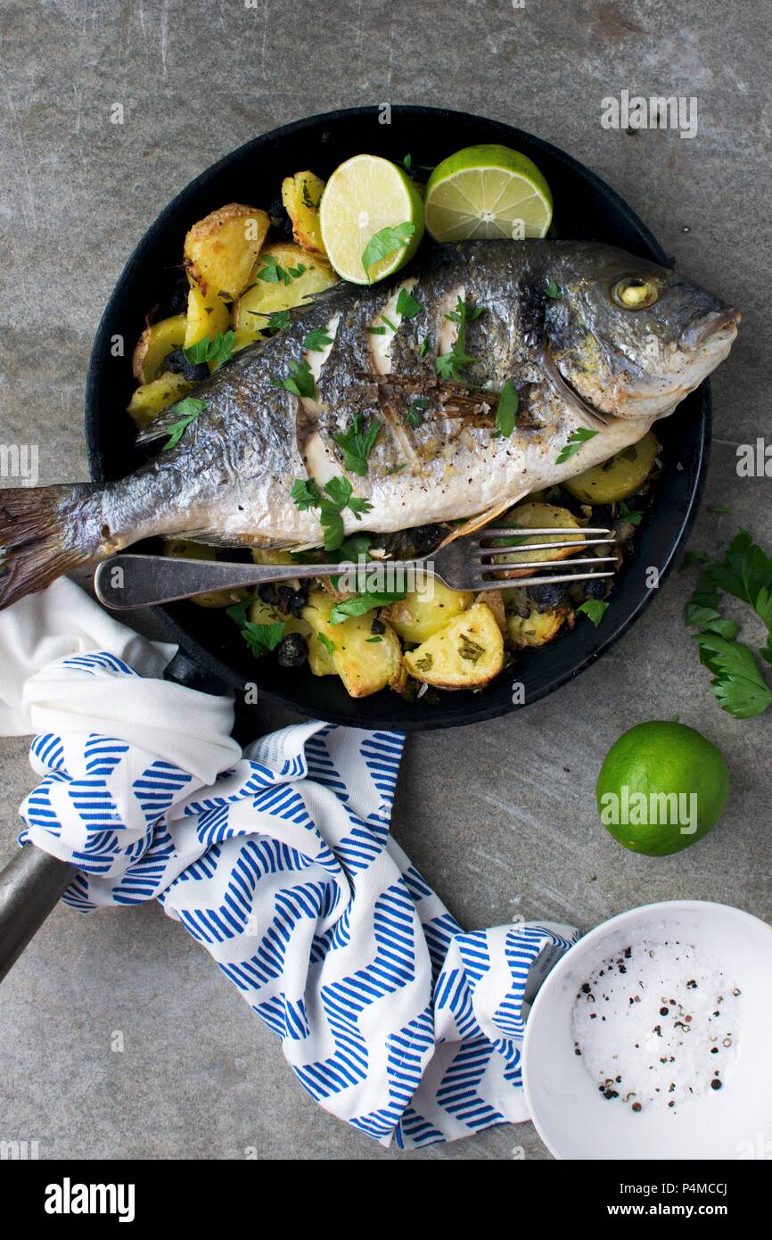 Interior view dorade hi-res stock photography and images - Alamy