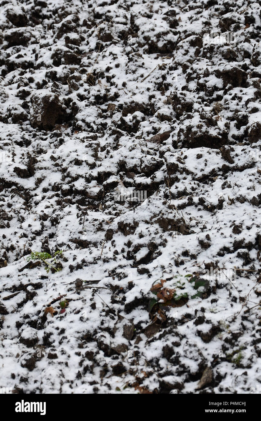 The texture of the ground, covered with a thin layer of snow. The soil ...