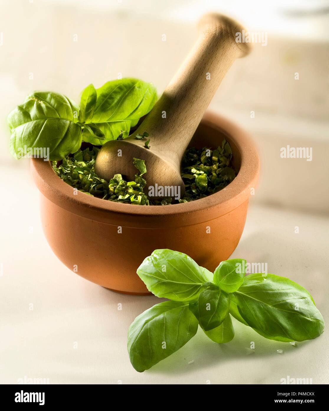 Pesto leaf hi-res stock photography and images - Alamy