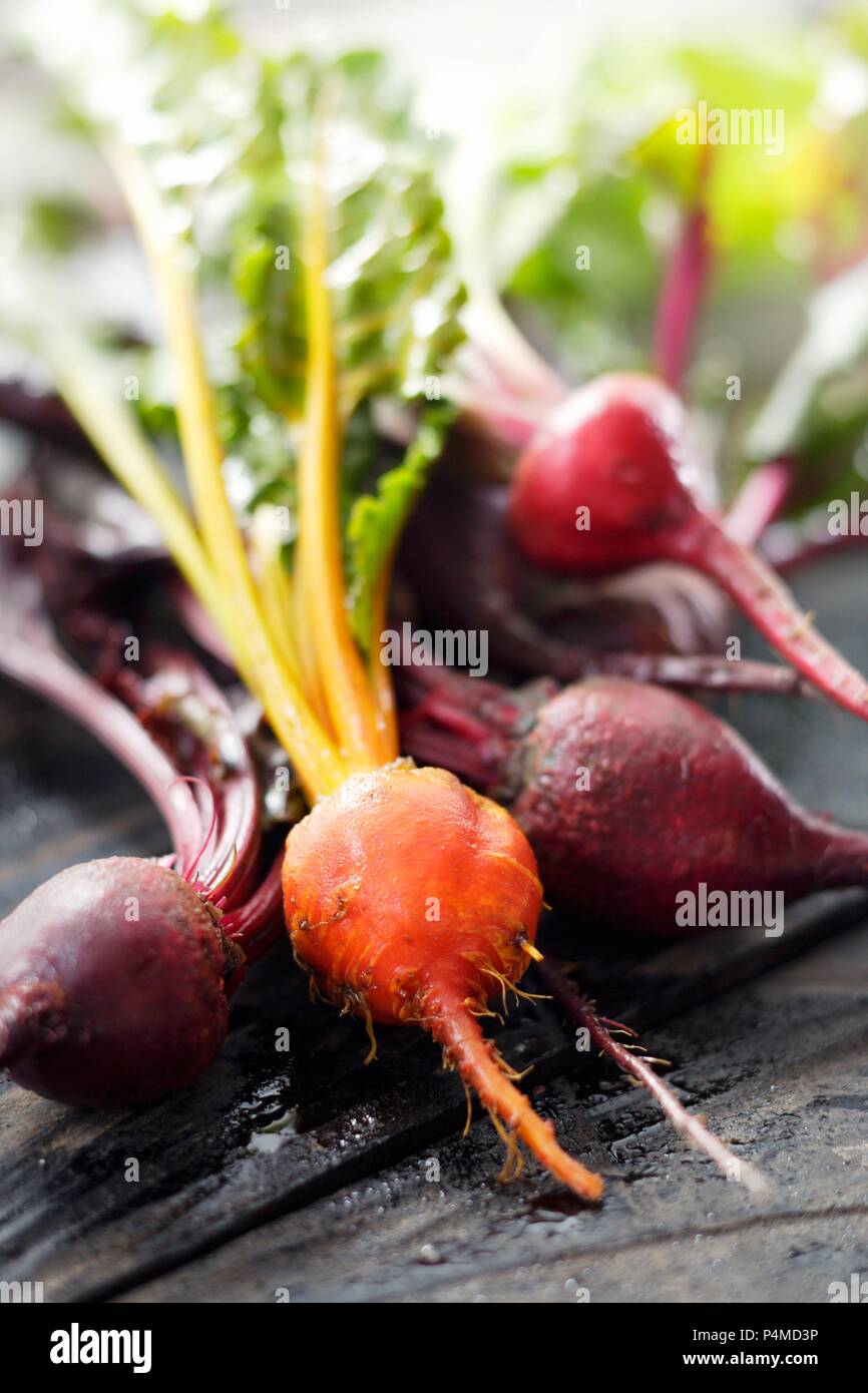 Fresh Red and Golden Beets Stock Photo - Alamy