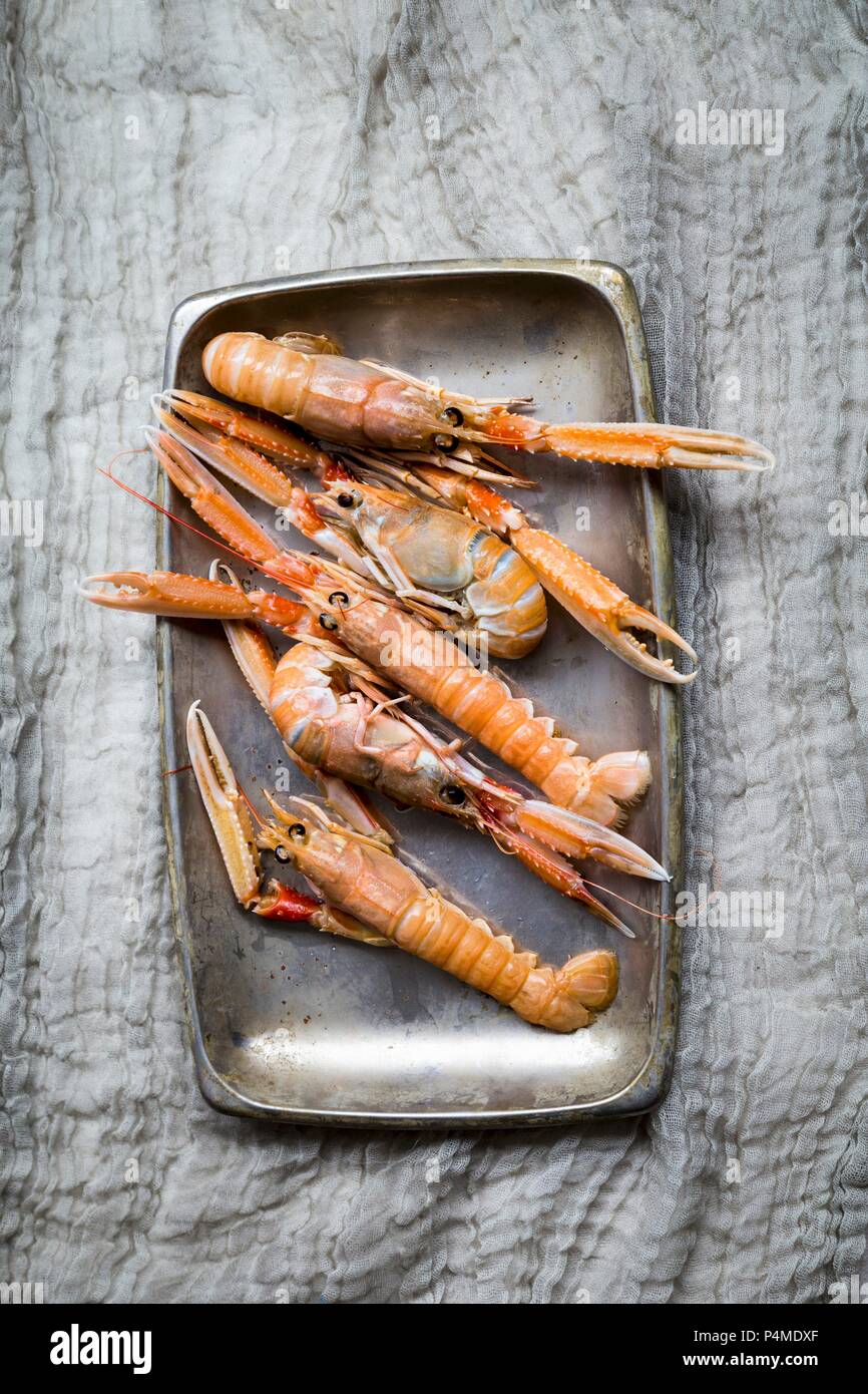 Raw Scampi High Resolution Stock Photography and Images - Alamy