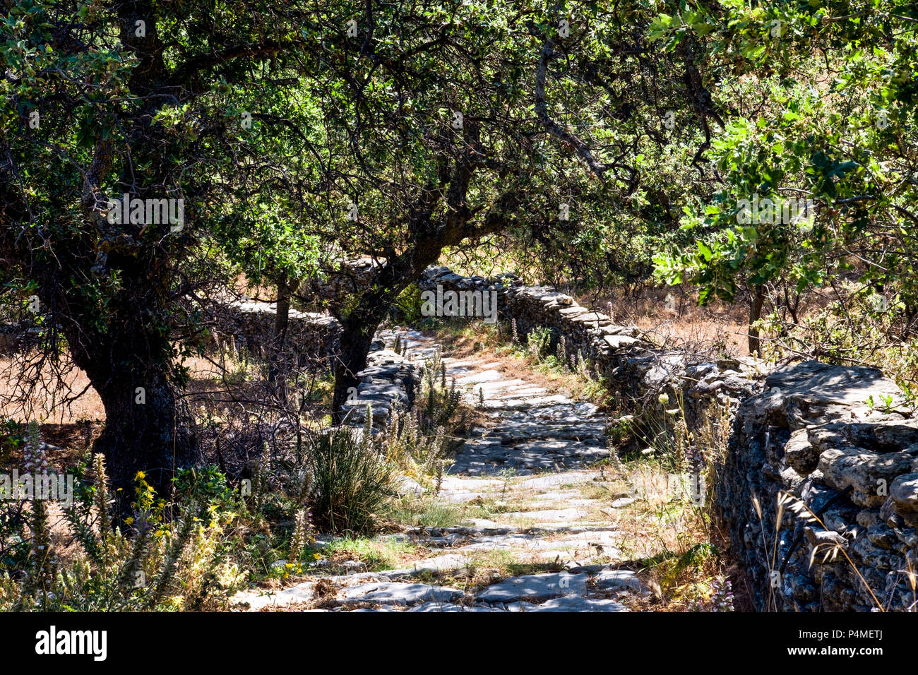 Well Marked Path High Resolution Stock Photography and Images - Alamy