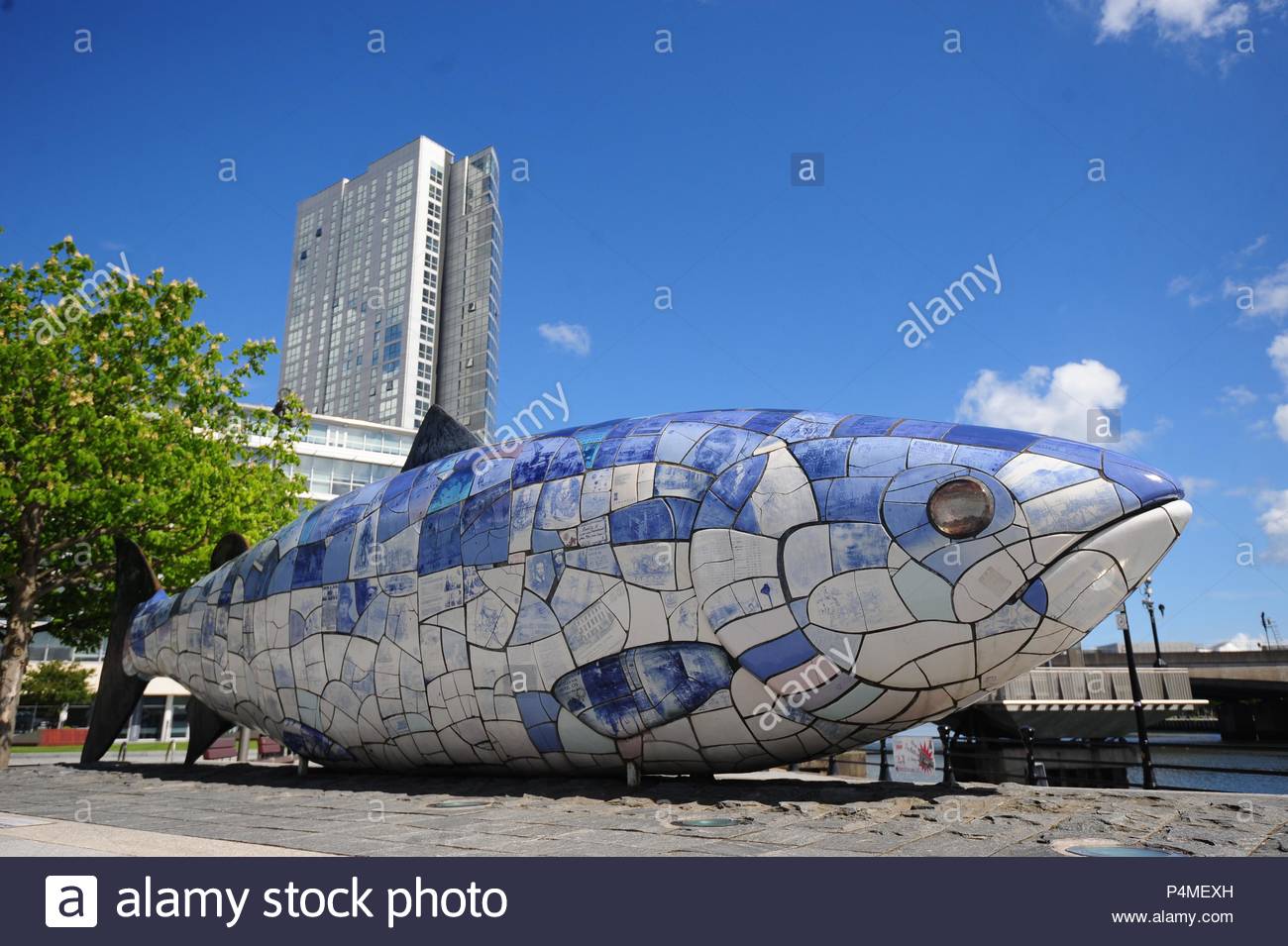 John Salmon High Resolution Stock Photography and Images - Alamy