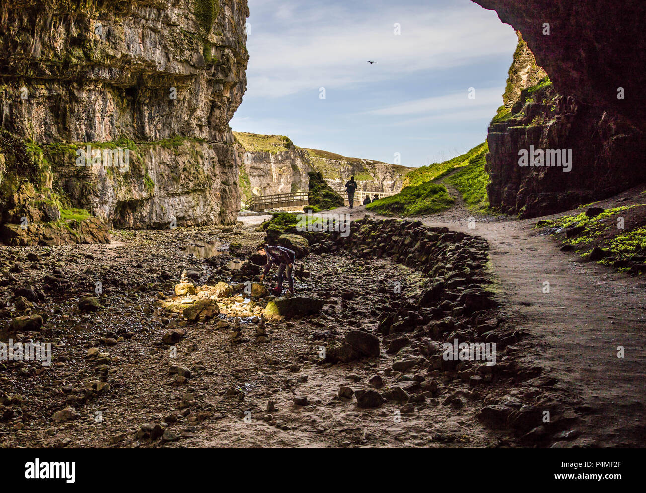 Thistle highlands scotland hi-res stock photography and images - Alamy