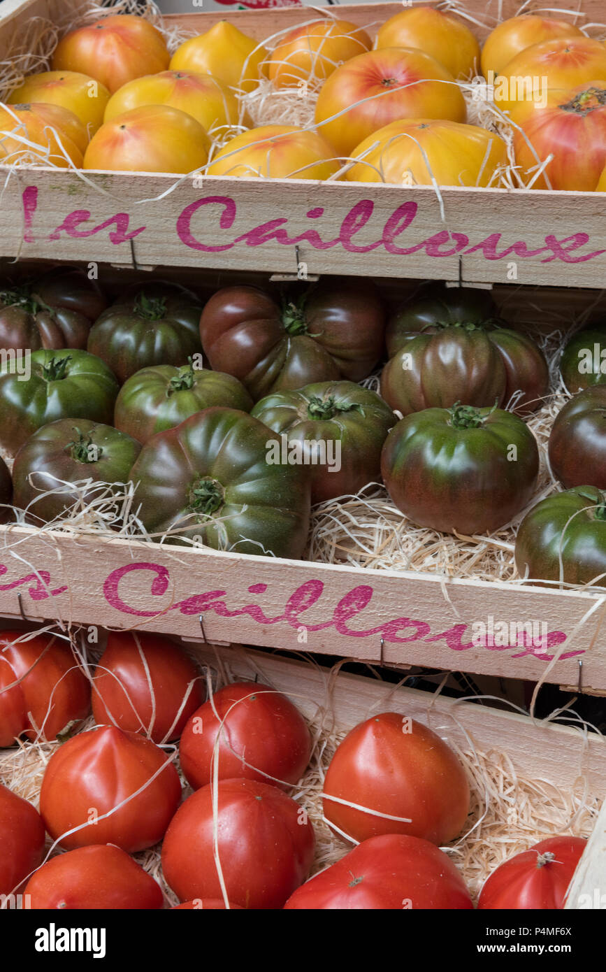 tomato selection at vegetable market Stock Photo - Alamy