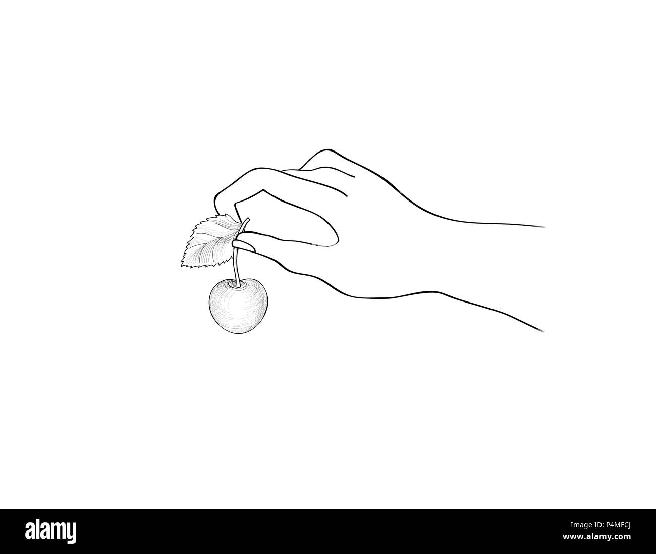 Cherry on top. Hand holding berry over white background. Cooking ...